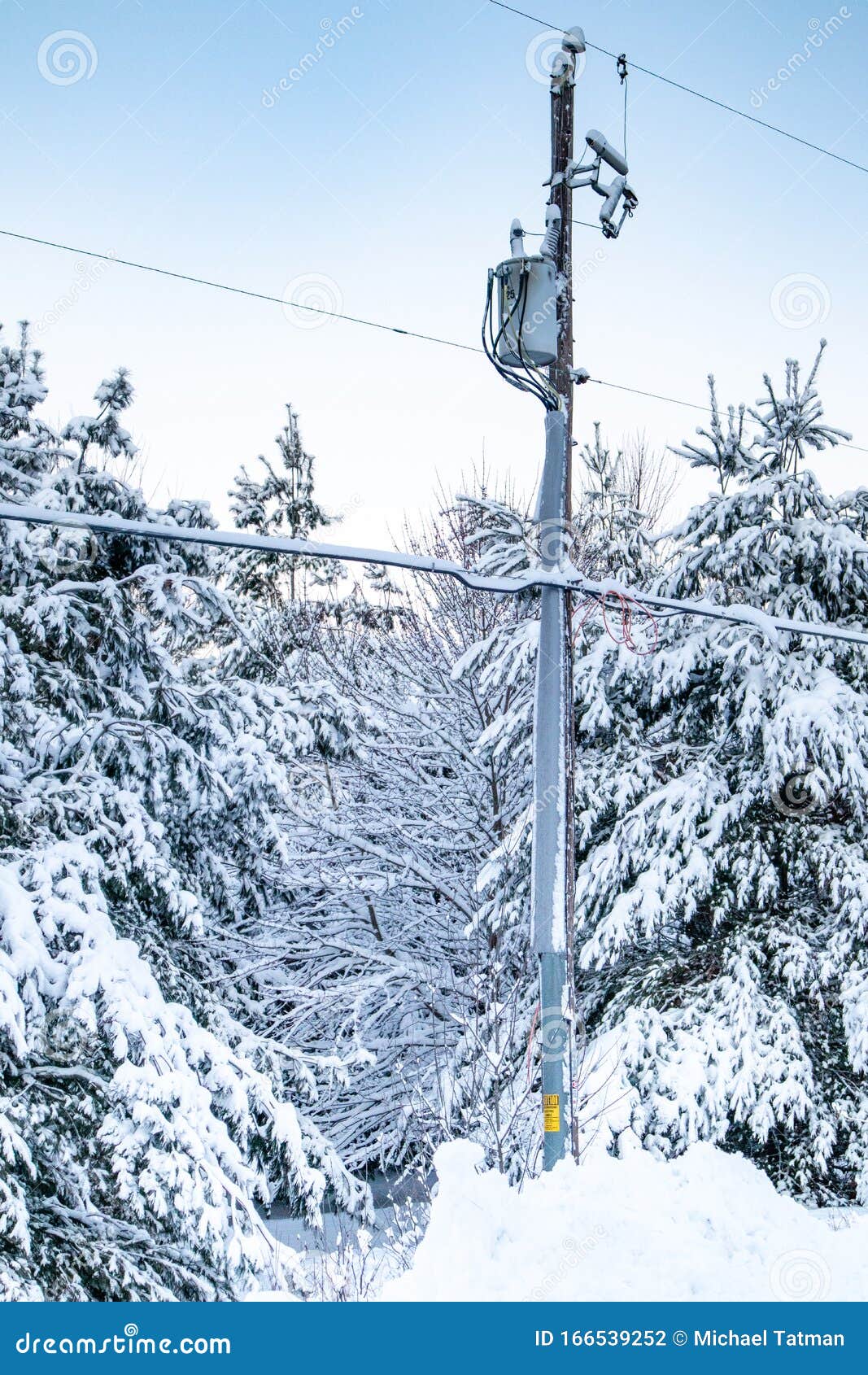Snow Covered Trees and Powerlines after a Snowstorm Vertical Stock ...