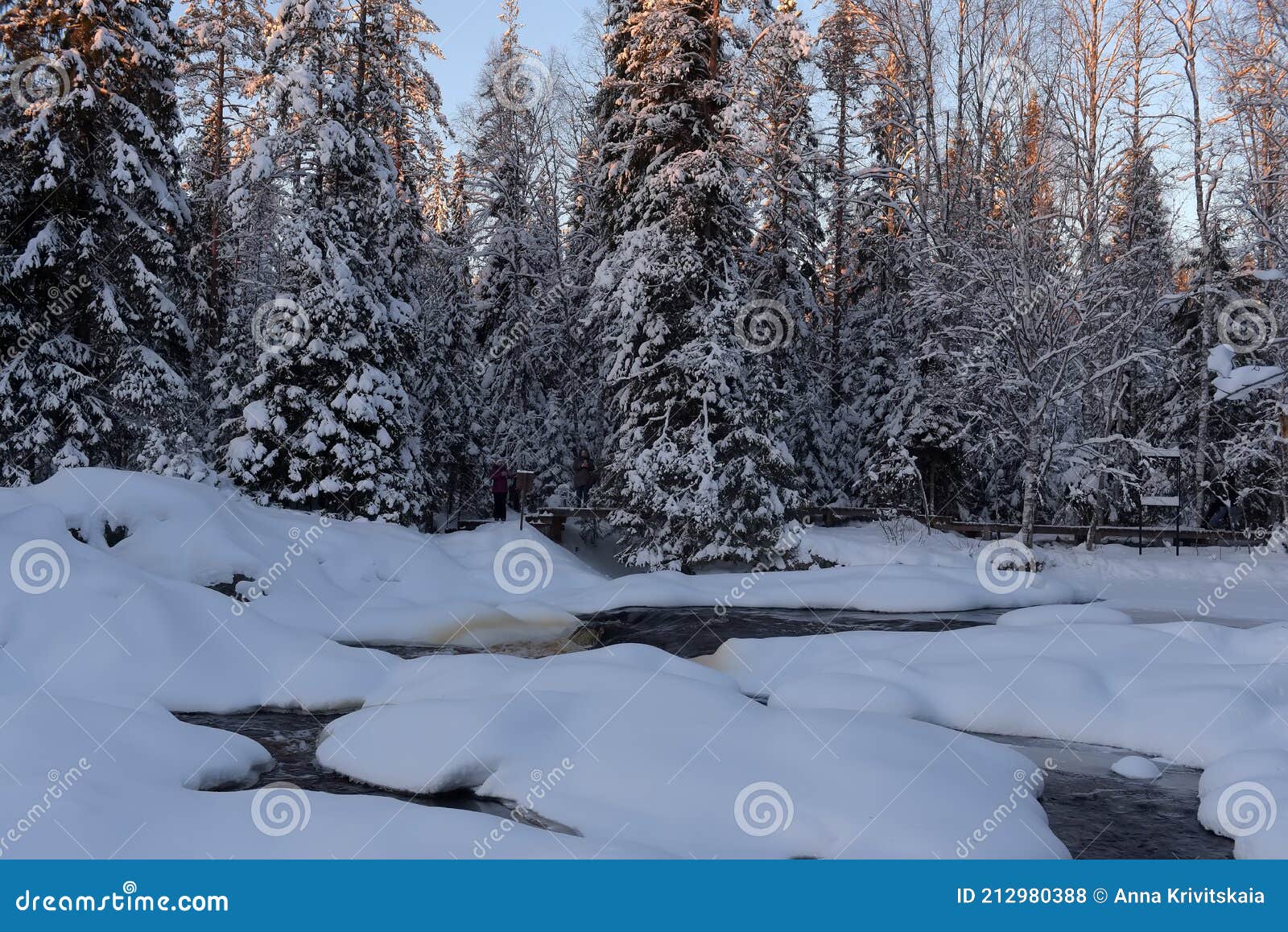 Snow Covered Trees and a Stream in Winter Stock Photo - Image of ...