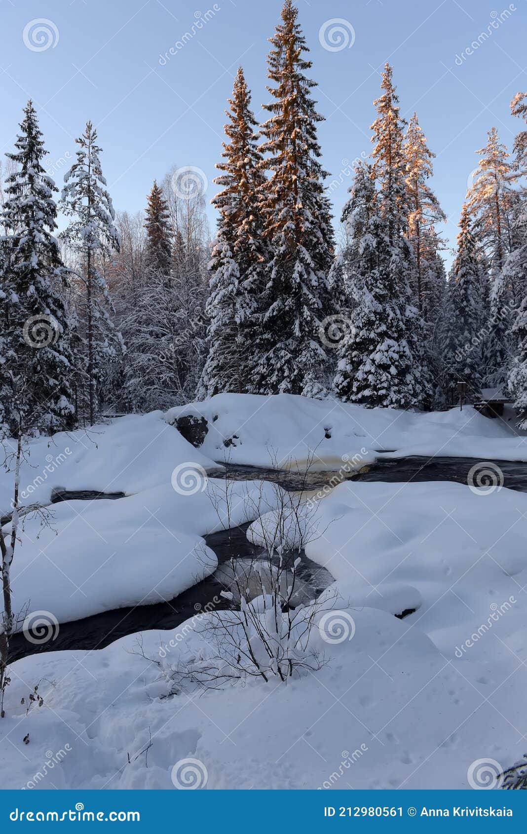 Snow Covered Trees and a Stream in Winter Stock Image - Image of river ...