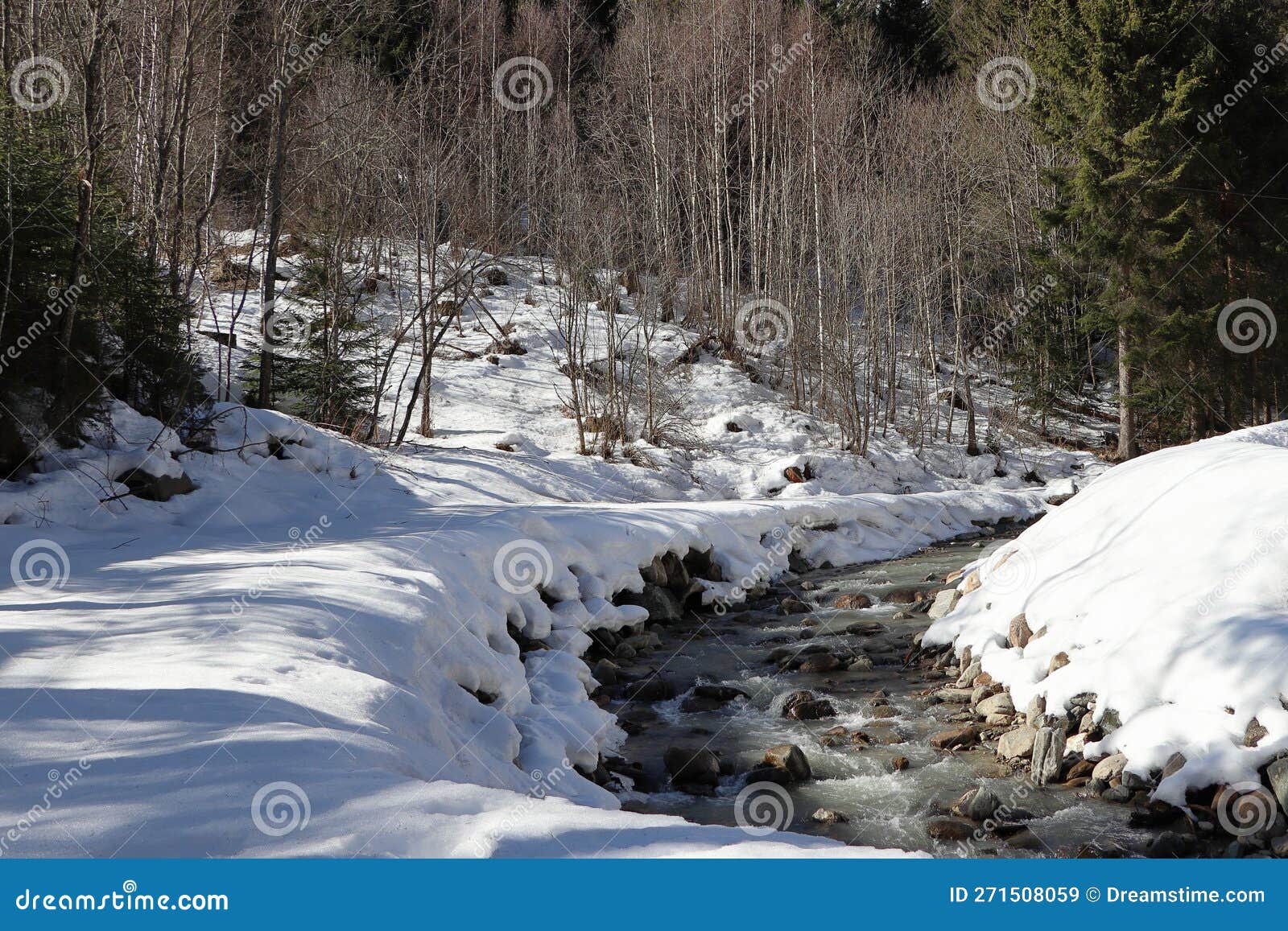 Snow Covered Trough of a Stream. Stock Image - Image of season, black ...