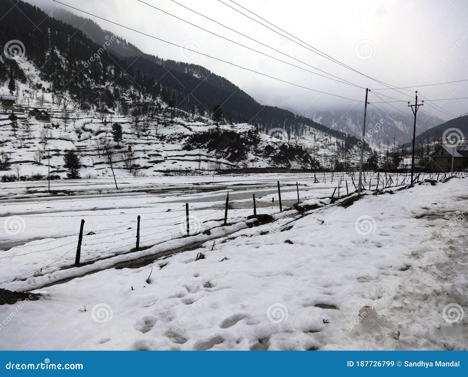 Snow Covered Valley in Srinagar after a Fresh Snowfall Stock Image ...