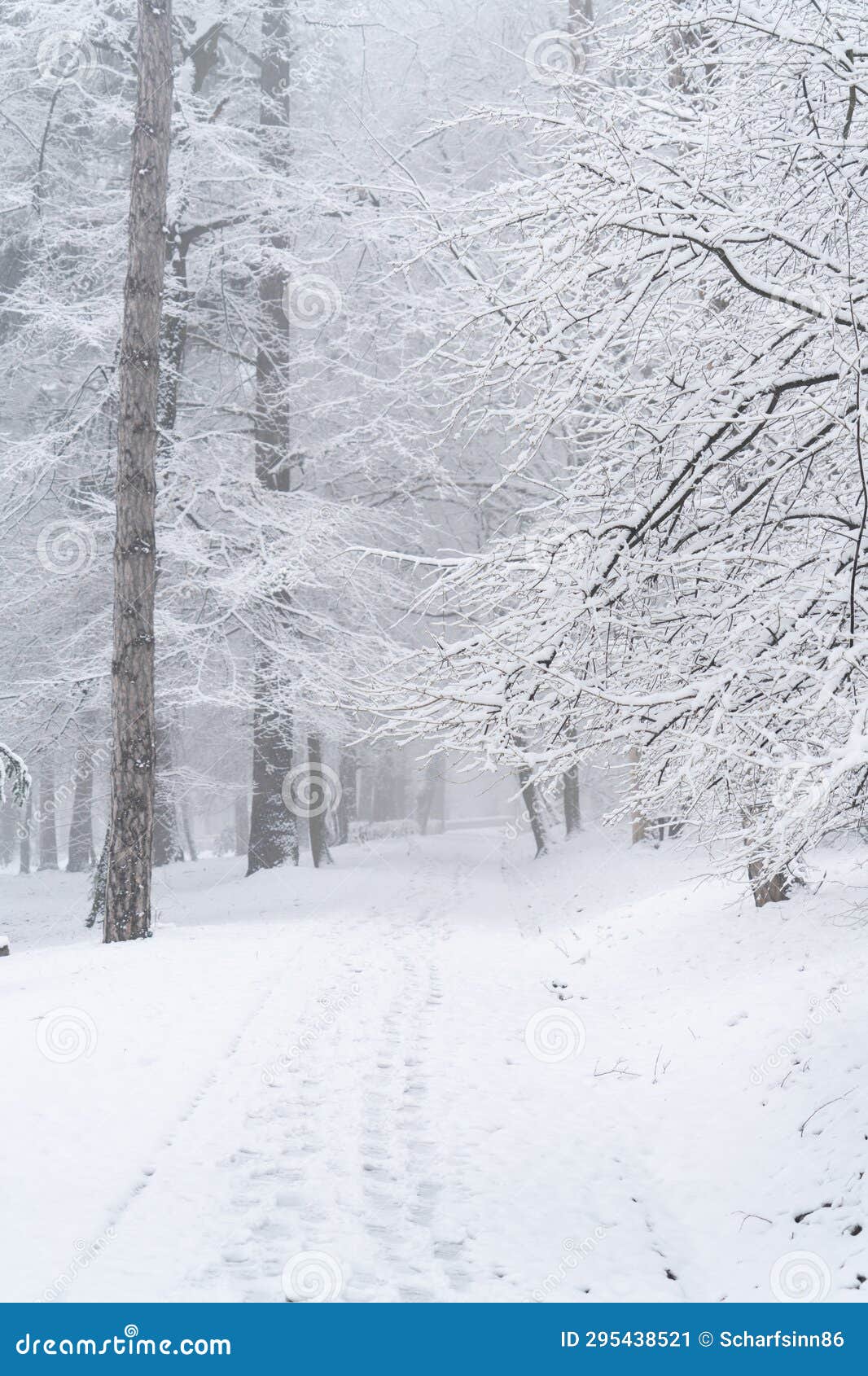 Snow Covered Winter Park during Snowfall Stock Image - Image of snowy ...
