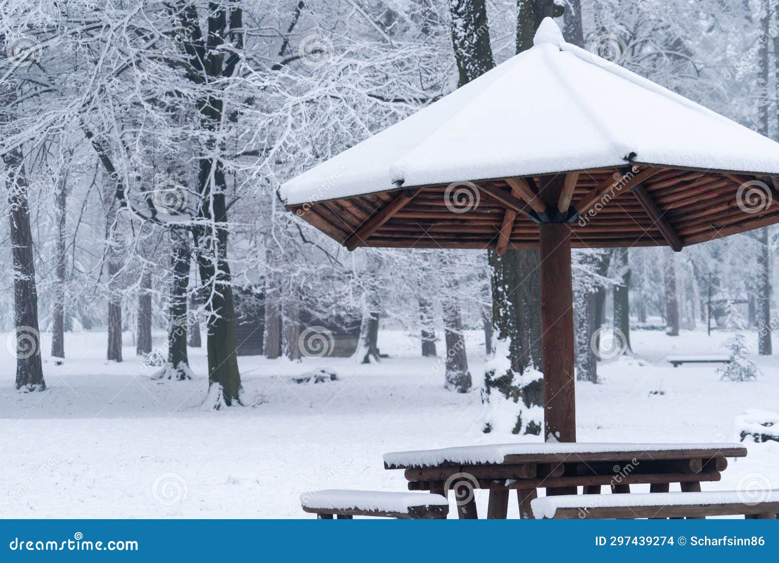 Snow covered winter park stock photo. Image of frost - 297439274