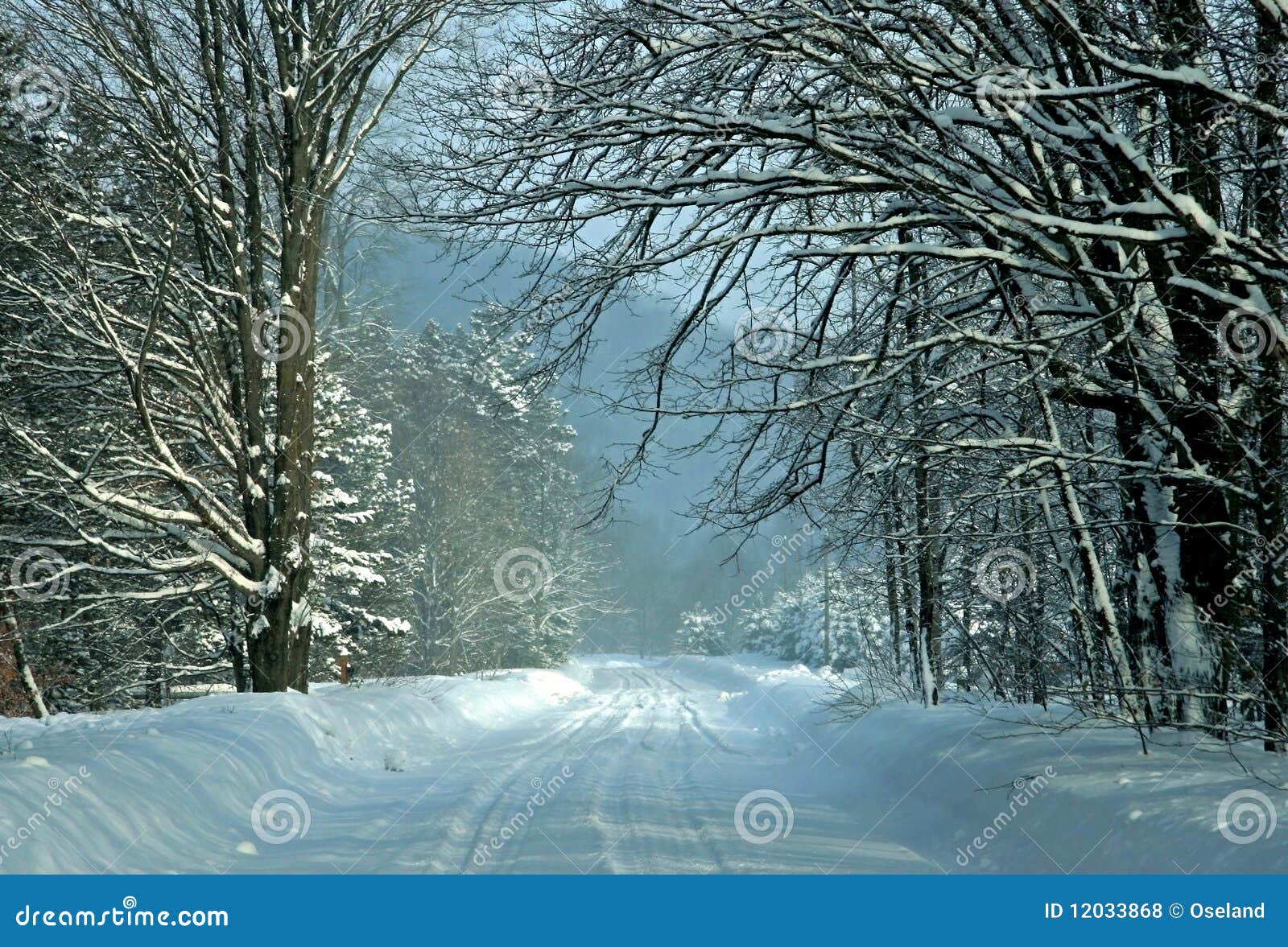 A Snow Covered Winter Road stock photo. Image of road - 12033868