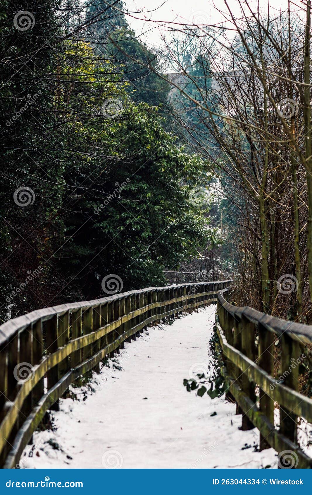 Snow-covered Wooden Bridge in the Forest Stock Photo - Image of bridge ...