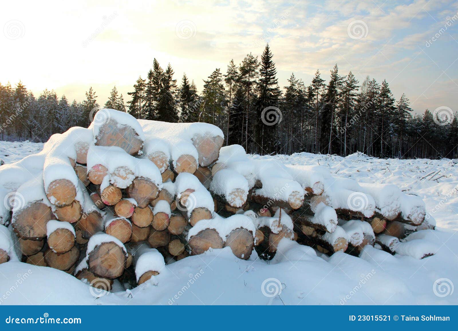 Snow Covered Wooden Logs stock image. Image of arctic - 23015521