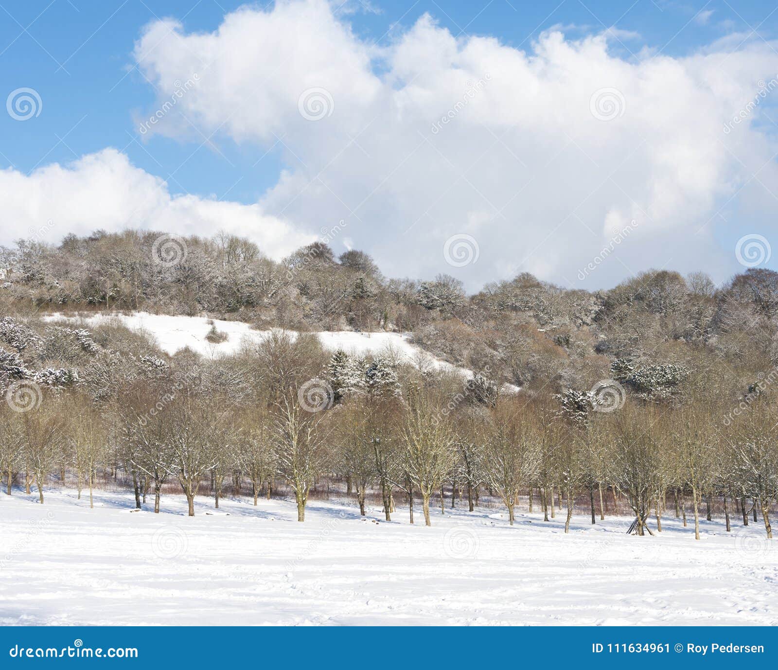 Snow covered hillside stock image. Image of country - 111634961
