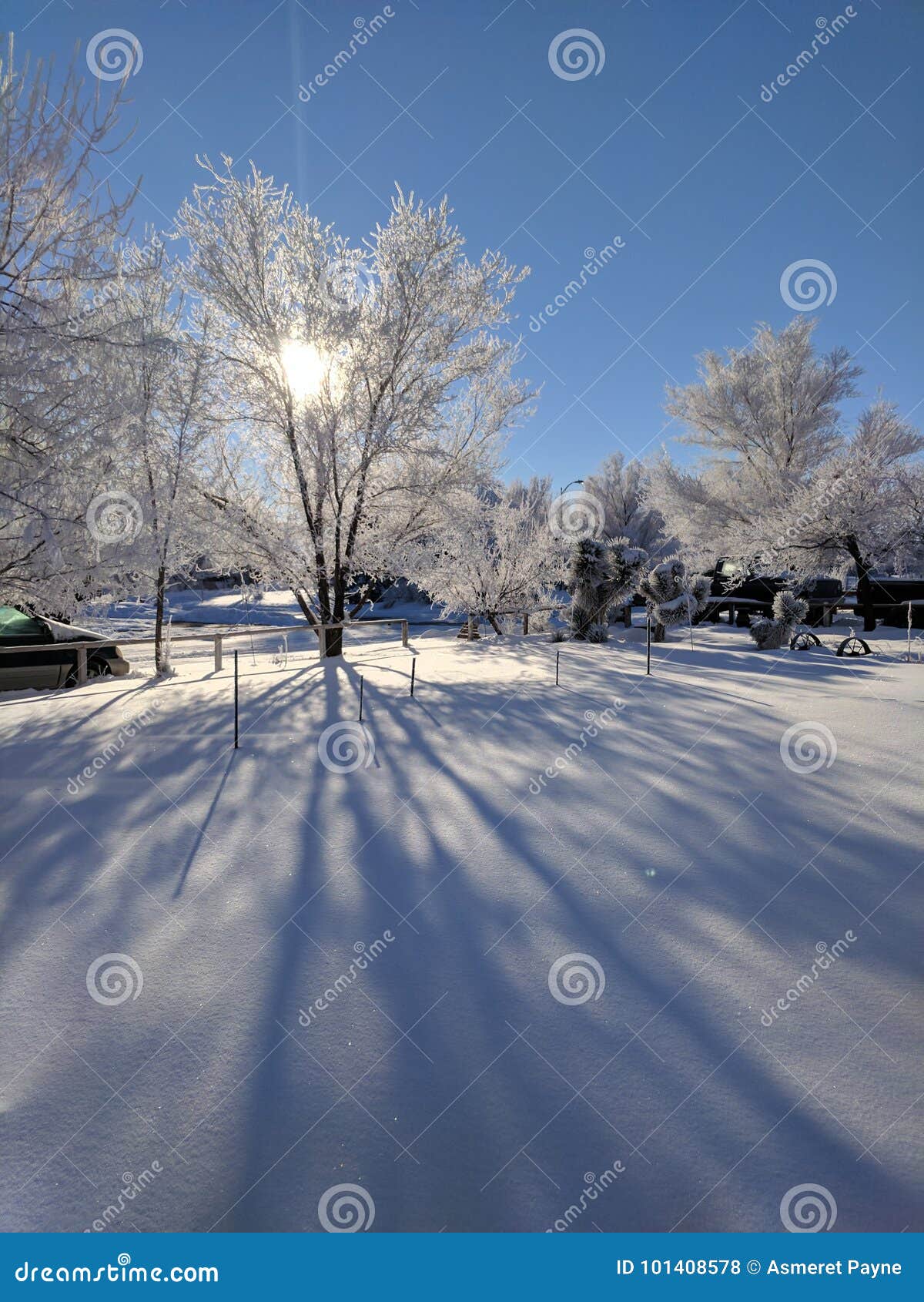 Snow scape stock photo. Image of land, scape, snow, covered - 101408578