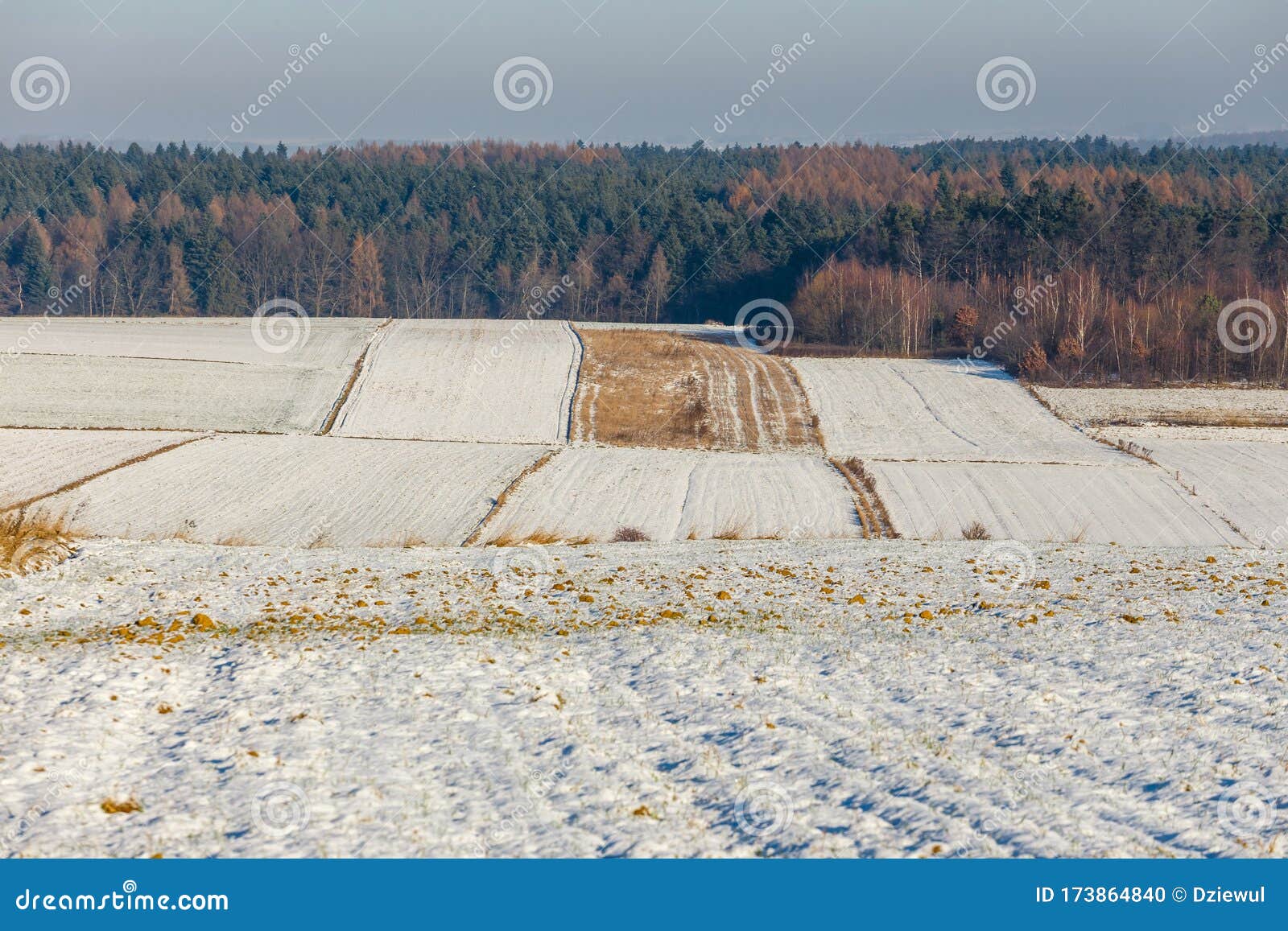 Snow Covering the Field during the Winter Stock Photo - Image of land ...