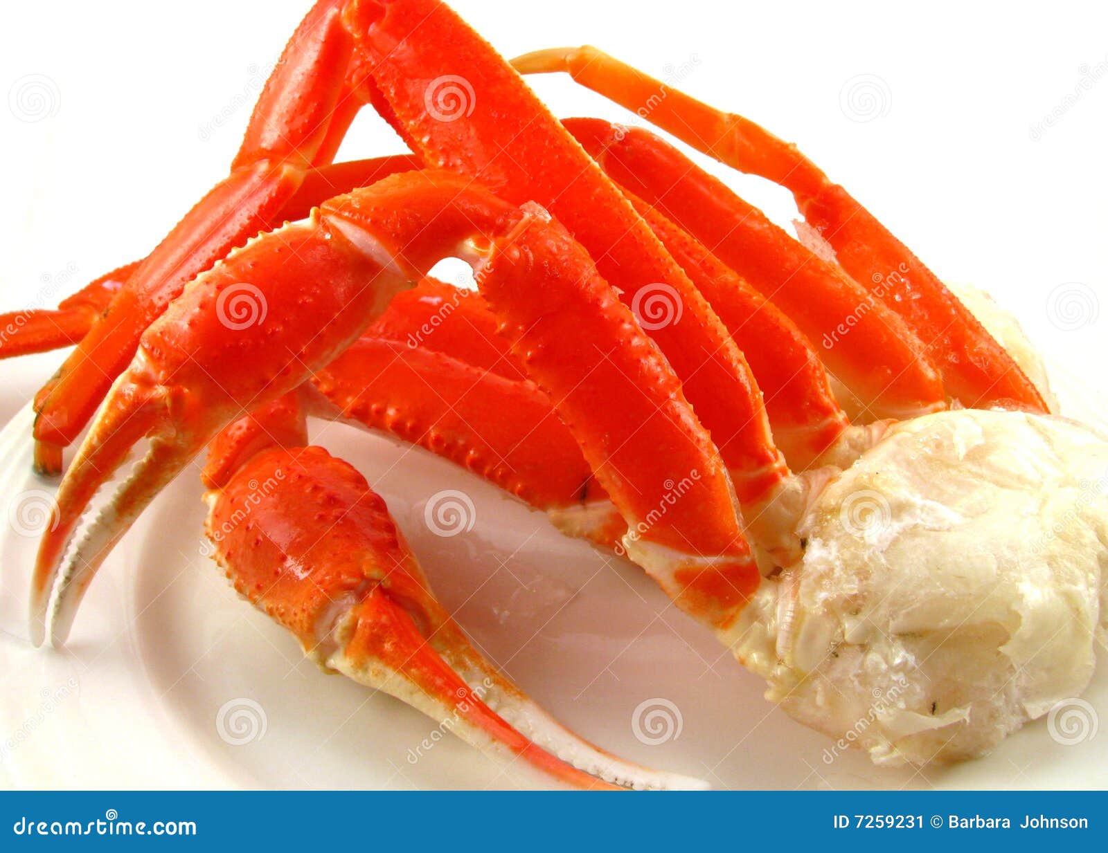 Snow Crab Cluster stock image. Image of alaskan, protein - 7259231 Snow Crab Cluster stock image. Image of alaskan, protein - 7259231