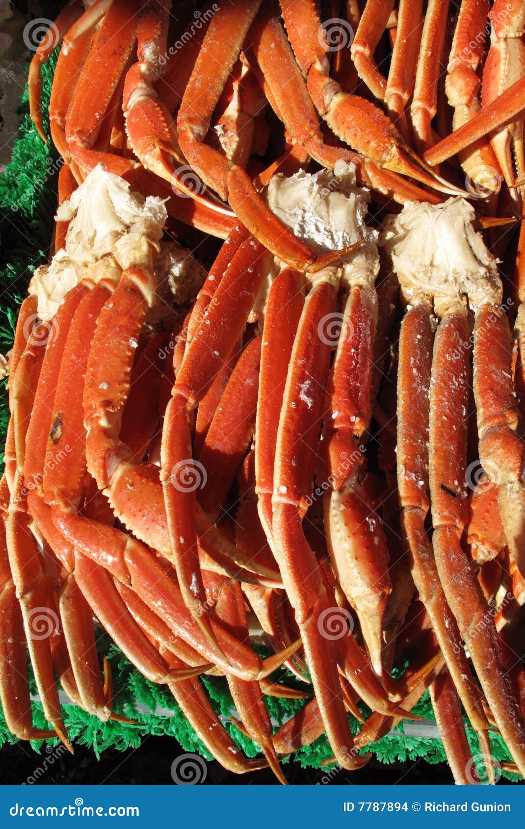 Snow Crab Clusters stock photo. Image of snow, clusters - 7787894