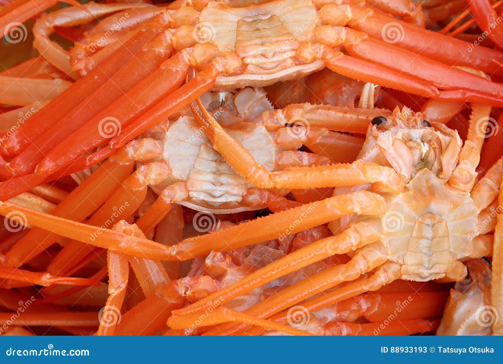 Snow crabs stock image. Image of ocean, meal, seafood - 88933193