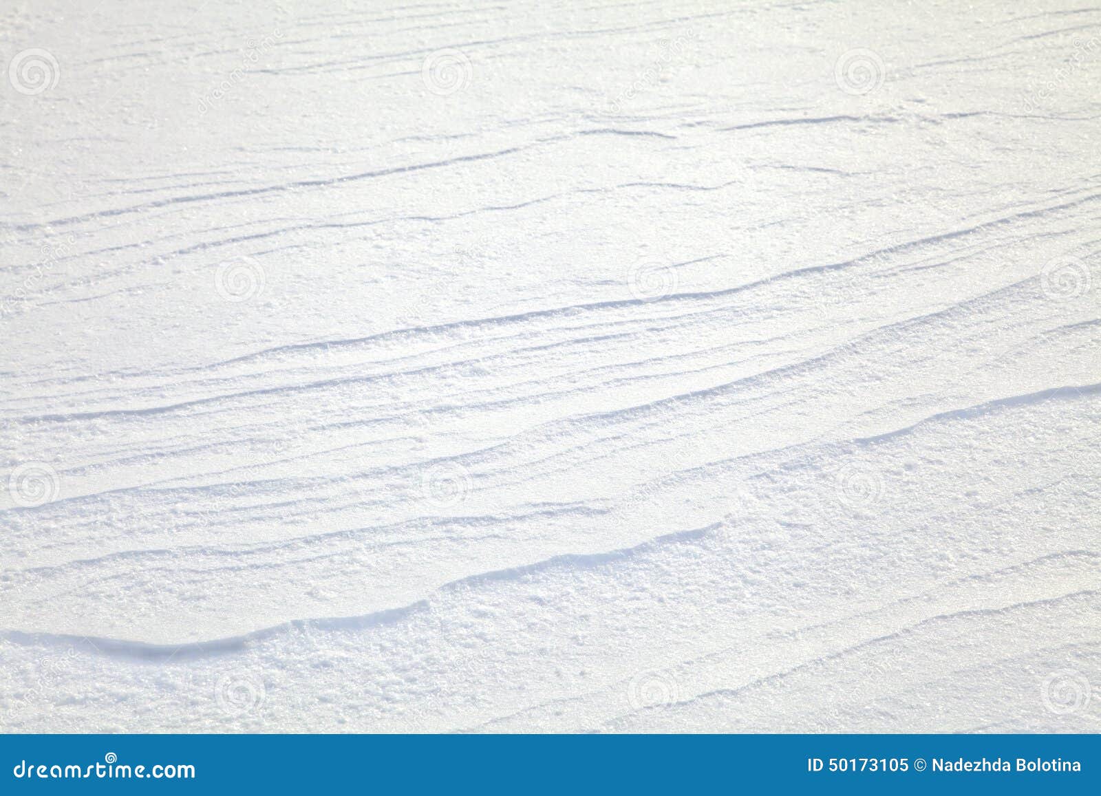 Snow Crust On Shrub Close-up Winter Season Nature Background Stock ...