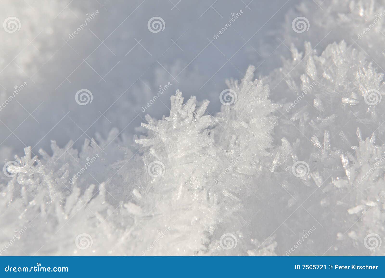 Snow Crystal stock image. Image of sample, cold, form - 7505721