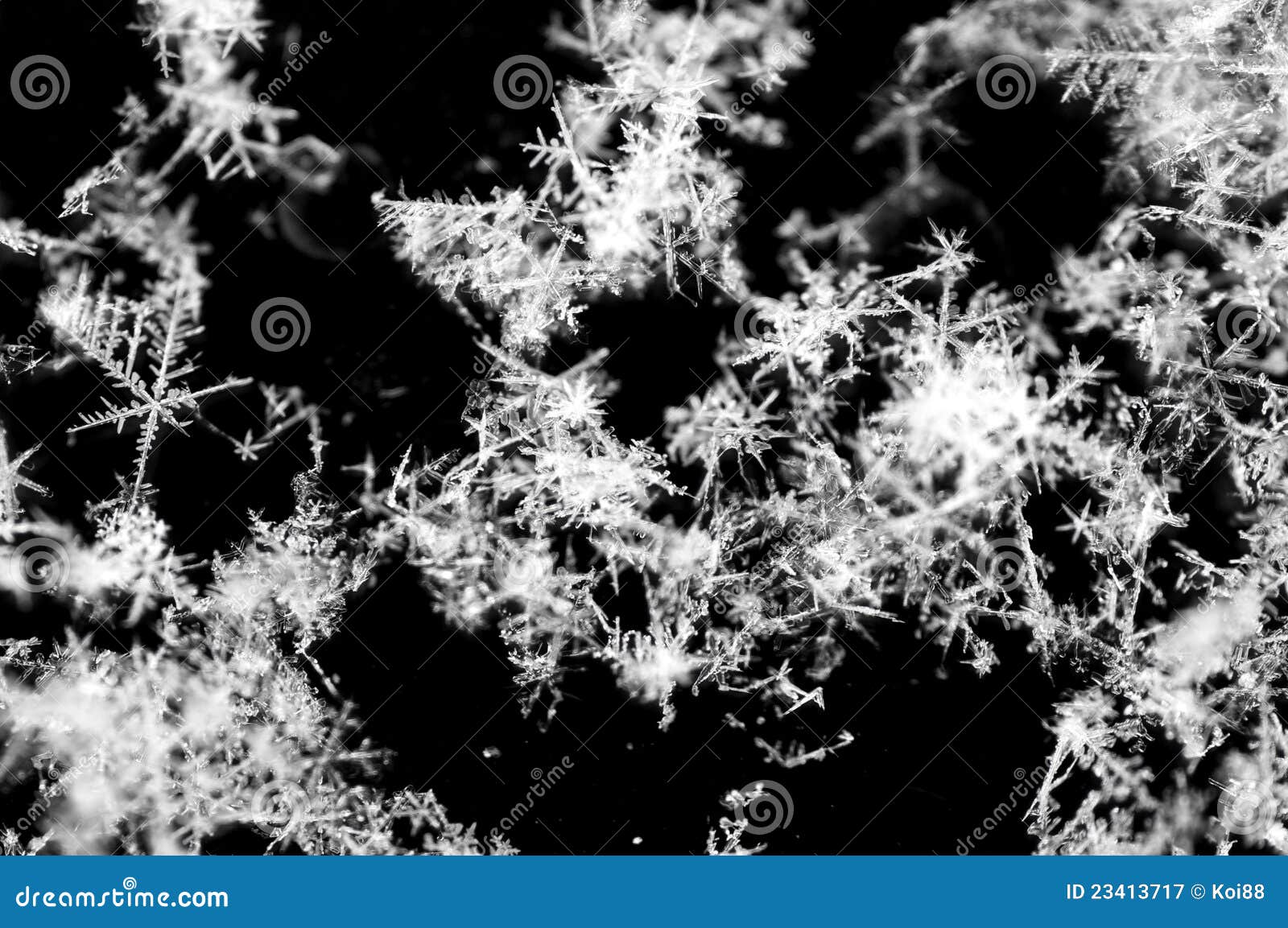 Snow Crystals Royalty-Free Stock Photography | CartoonDealer.com #43435763