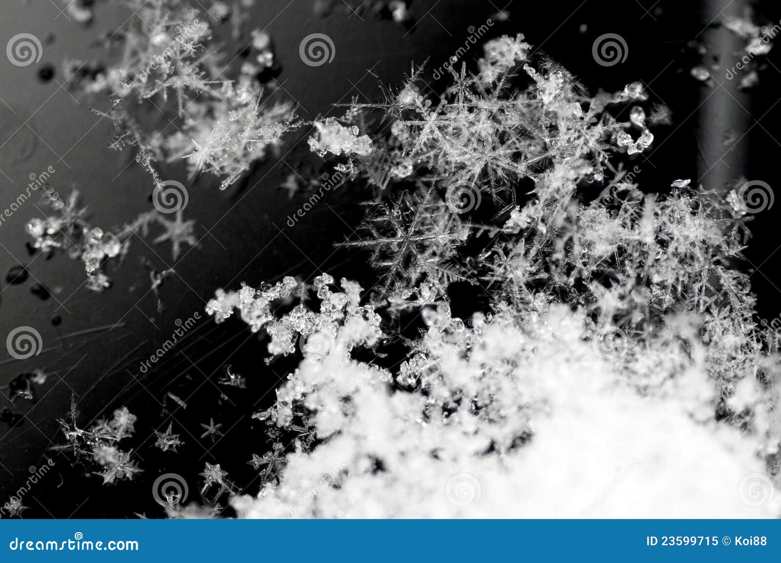 Snow Crystals stock image. Image of tiny, microcosmos - 23599715