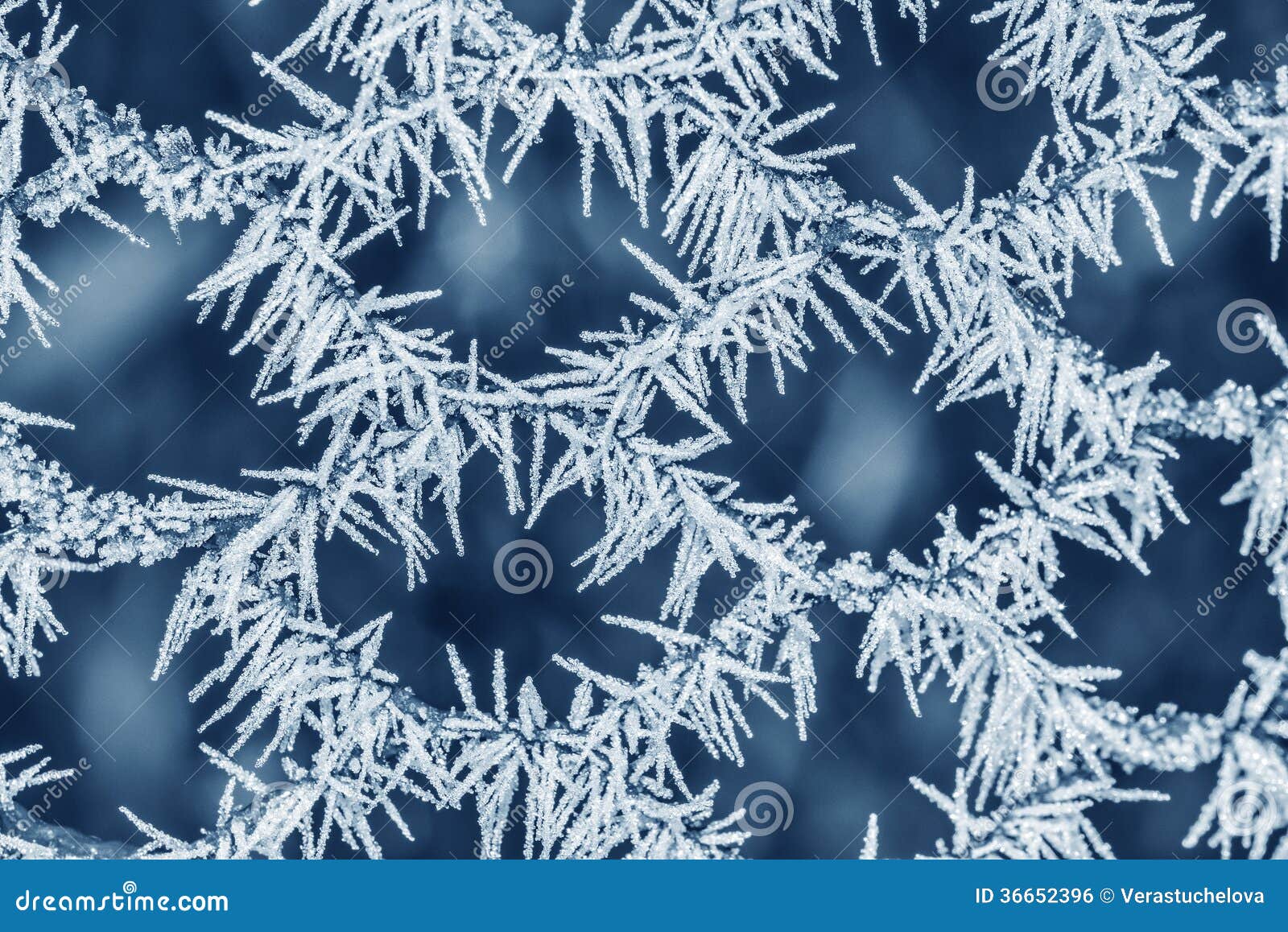 Snow crystals stock photo. Image of seasonal, nature - 36652396