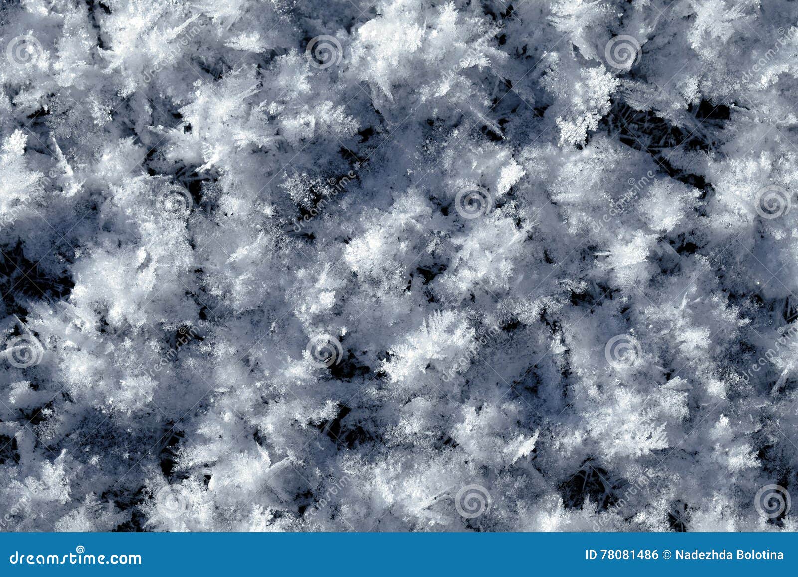 Snow Crystals on the Ground Stock Photo - Image of macro, snow: 78081486