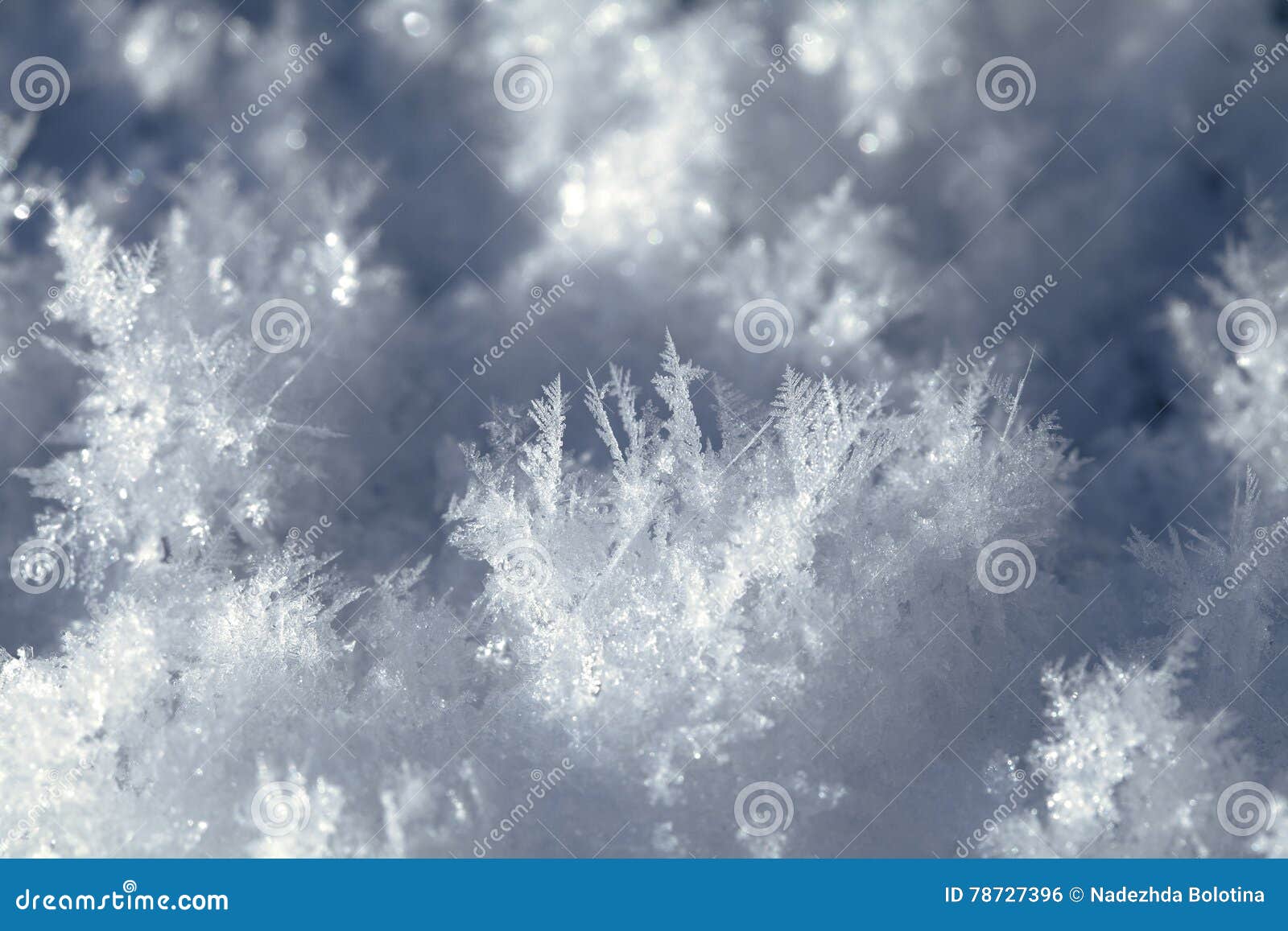 Snow Crystals on the Ground Stock Photo - Image of snow, crystal: 78727396