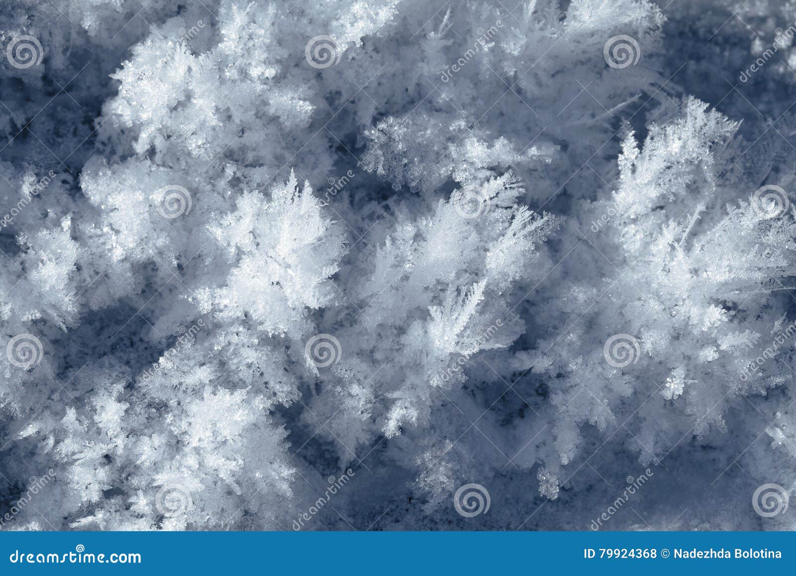 Snow Crystals on the Ground Stock Photo - Image of season, solid: 79924368