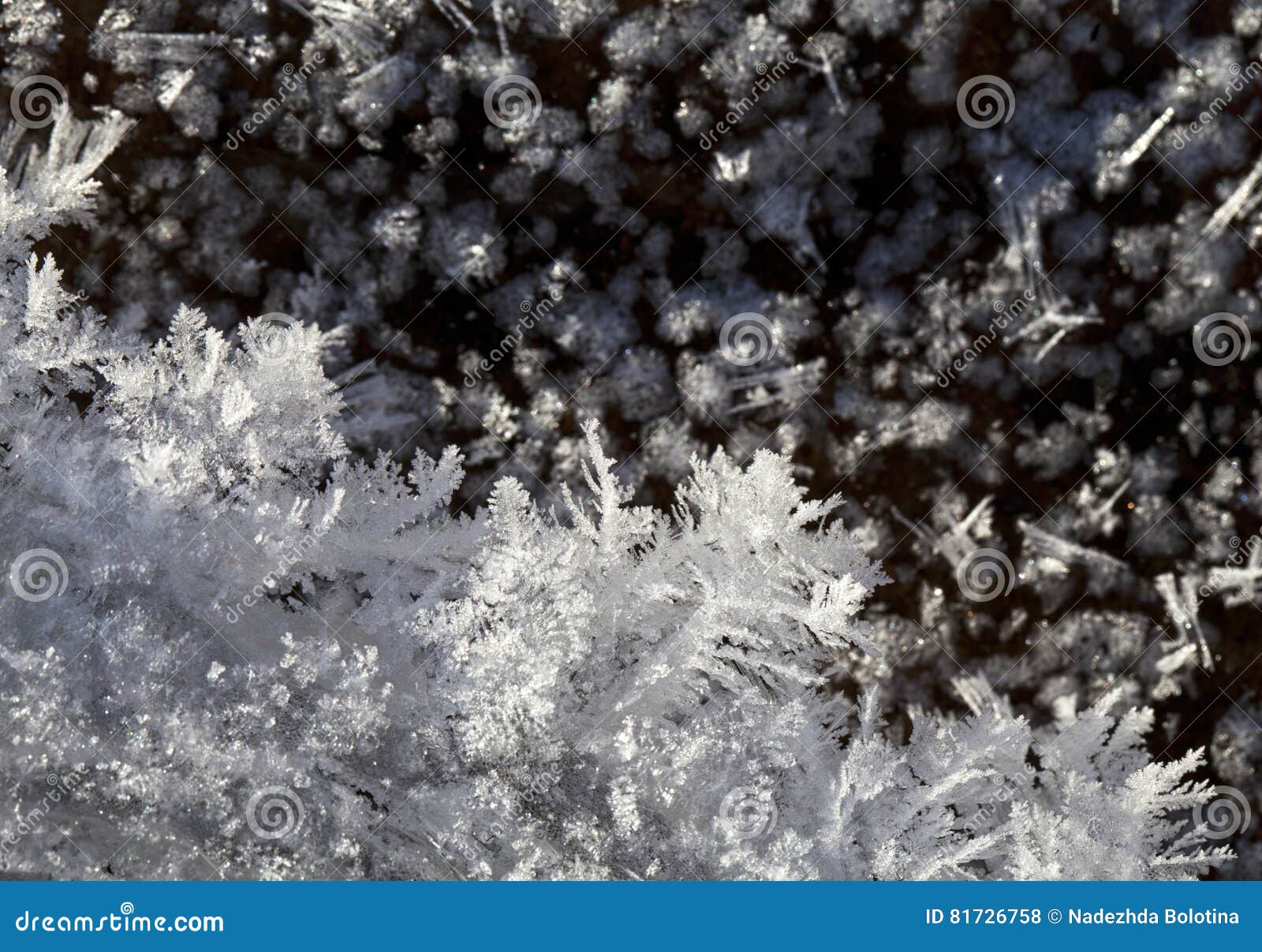 Snow Crystals on the Ground Stock Photo - Image of crystal, season ...