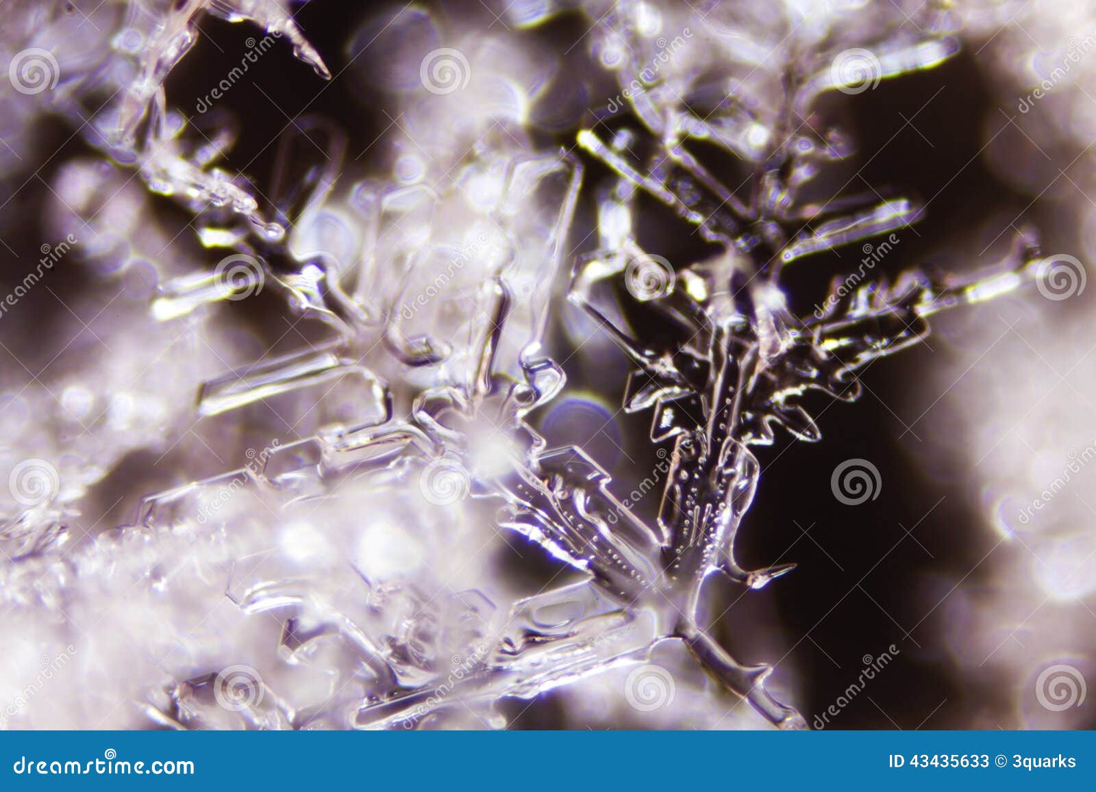 Snow Crystals stock image. Image of microphotographs - 43435633