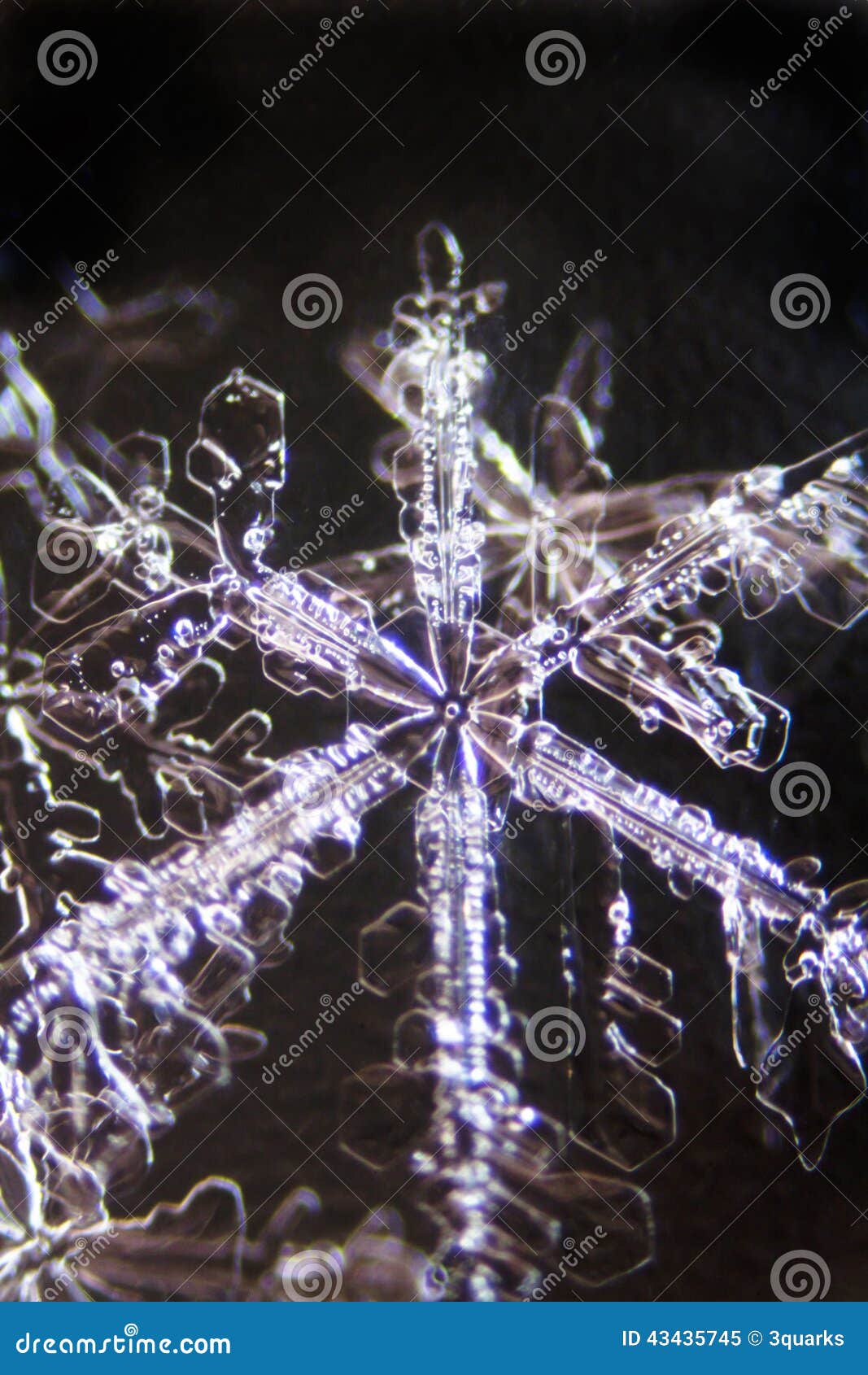 Snow Crystals stock image. Image of microphotographs - 43435745