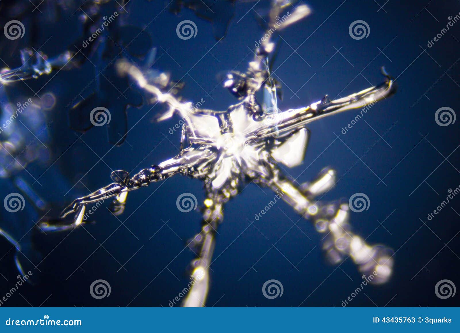 Snow Crystals stock image. Image of esthetik, detail - 43435763