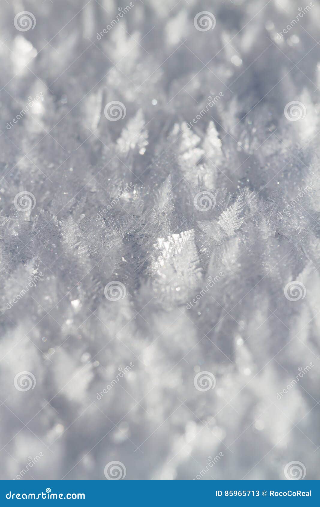 Snow Crystals on Snow Covered Field Stock Image - Image of beautiful ...
