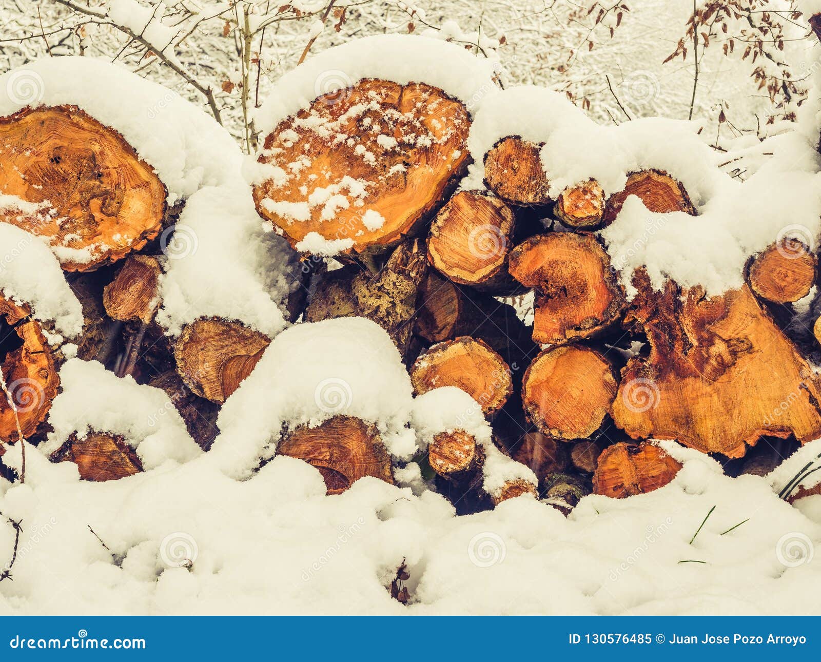 Snow on cut wood, stock image. Image of landscape, frost - 130576485