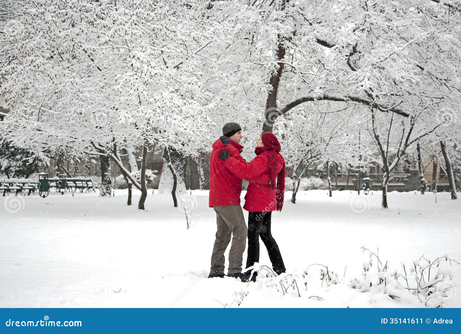 Young Couple Dancing in Snow Stock Image - Image of park, looking: 35141611