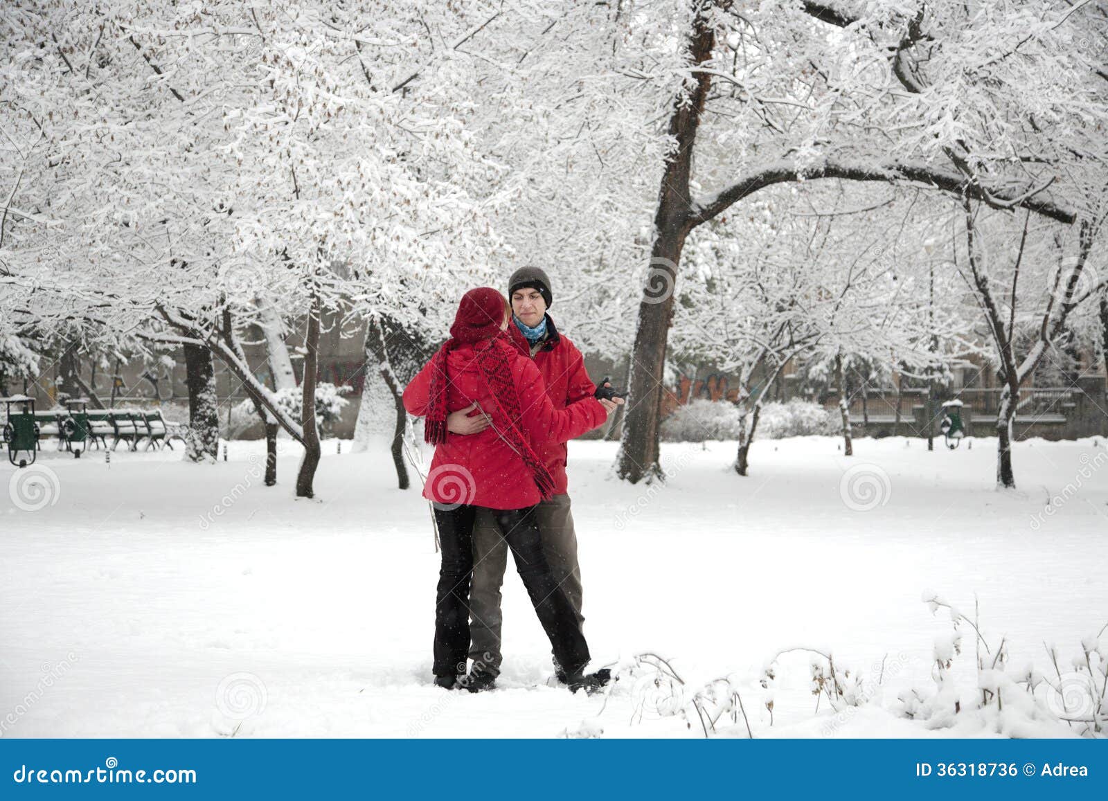 Young Couple Dancing in Snow Stock Photo - Image of forest, together ...