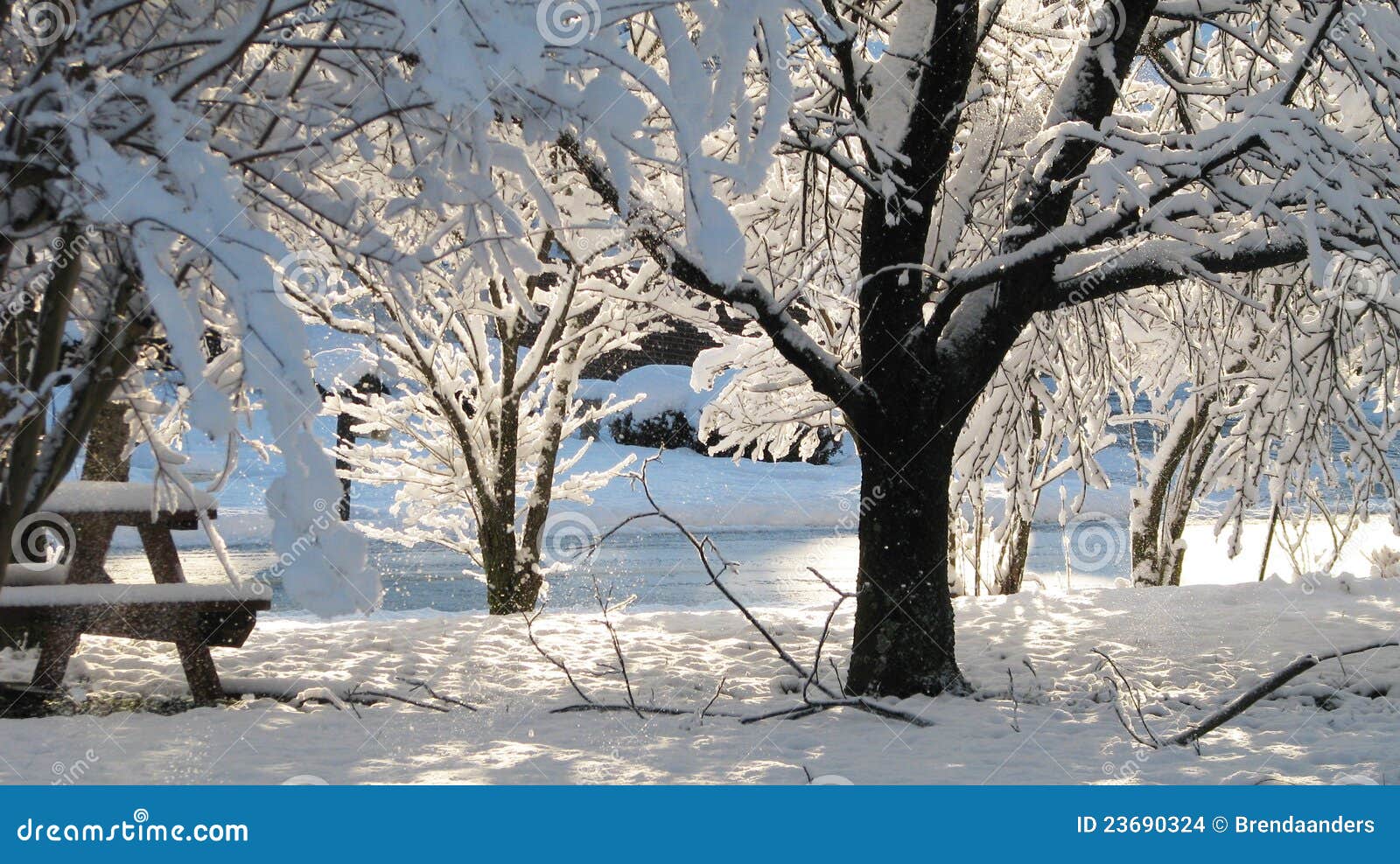 Snow day stock photo. Image of snowfall, thaw, trees - 23690324