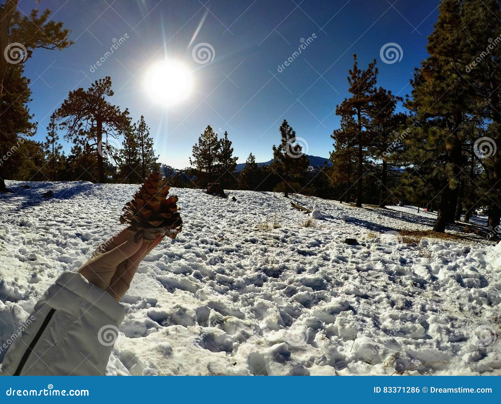 Snow day stock photo. Image of snow, love - 83371286