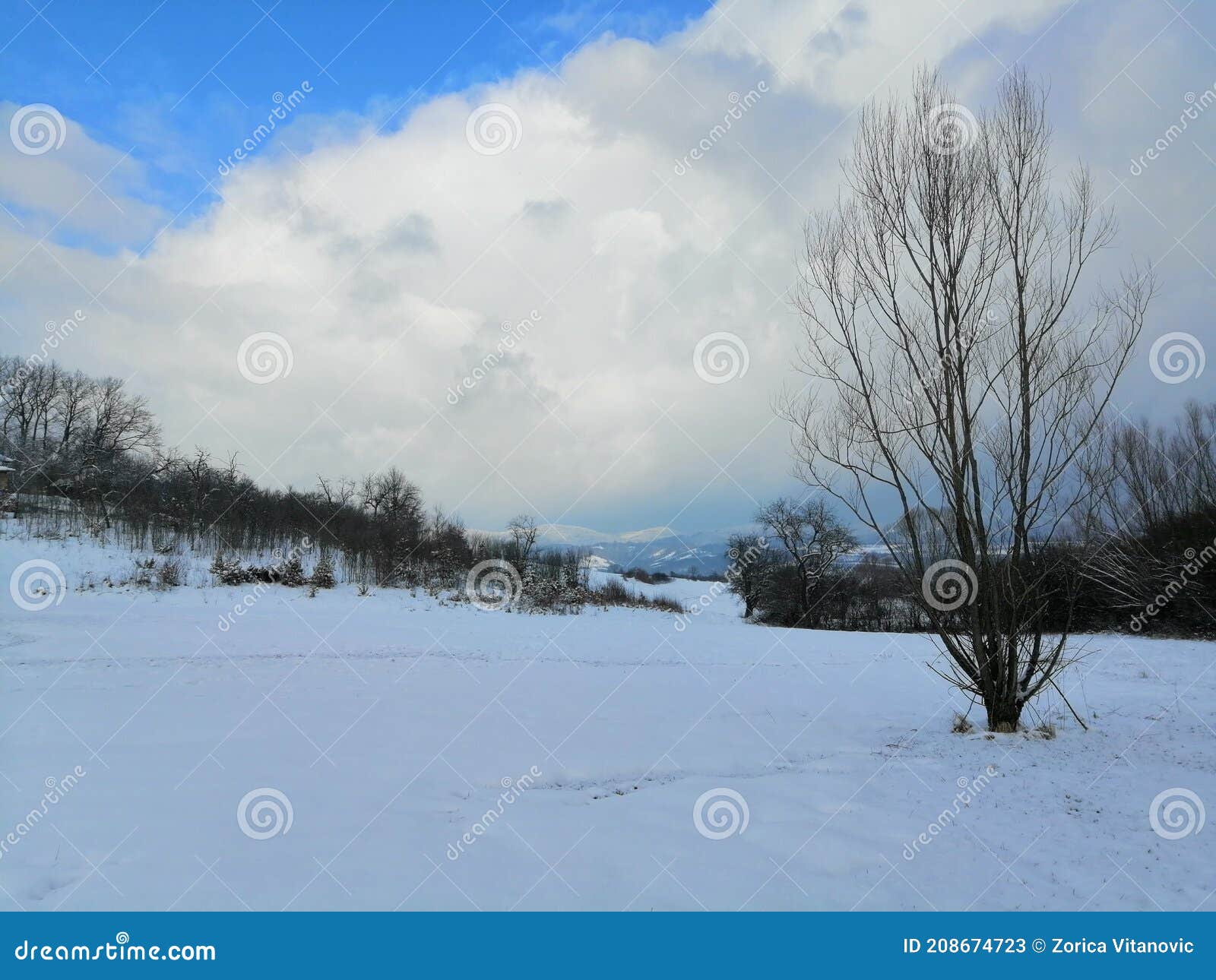 Snow day in winter stock image. Image of frost, landscape - 208674723