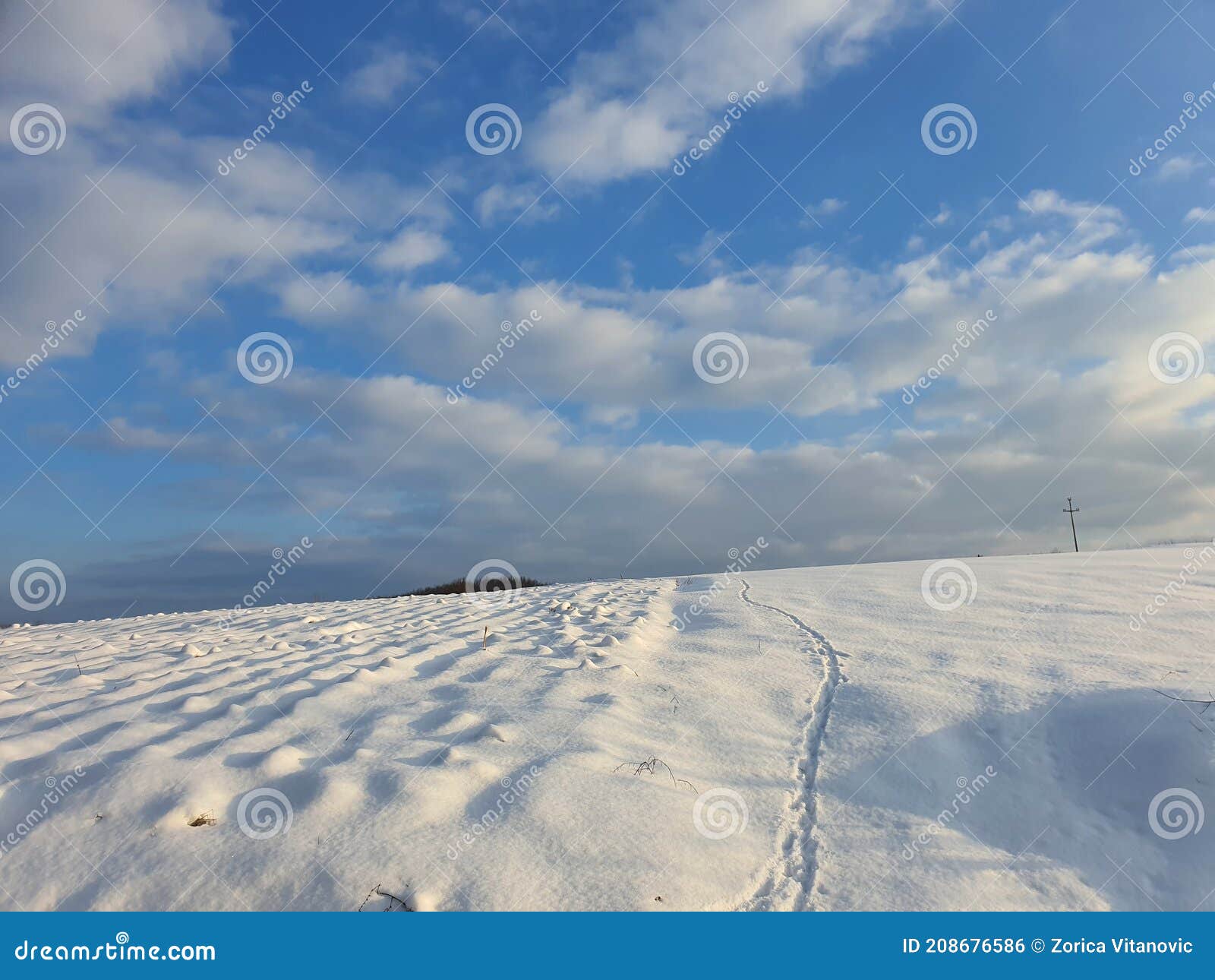 Snow day in winter stock photo. Image of winter, horizon - 208676586