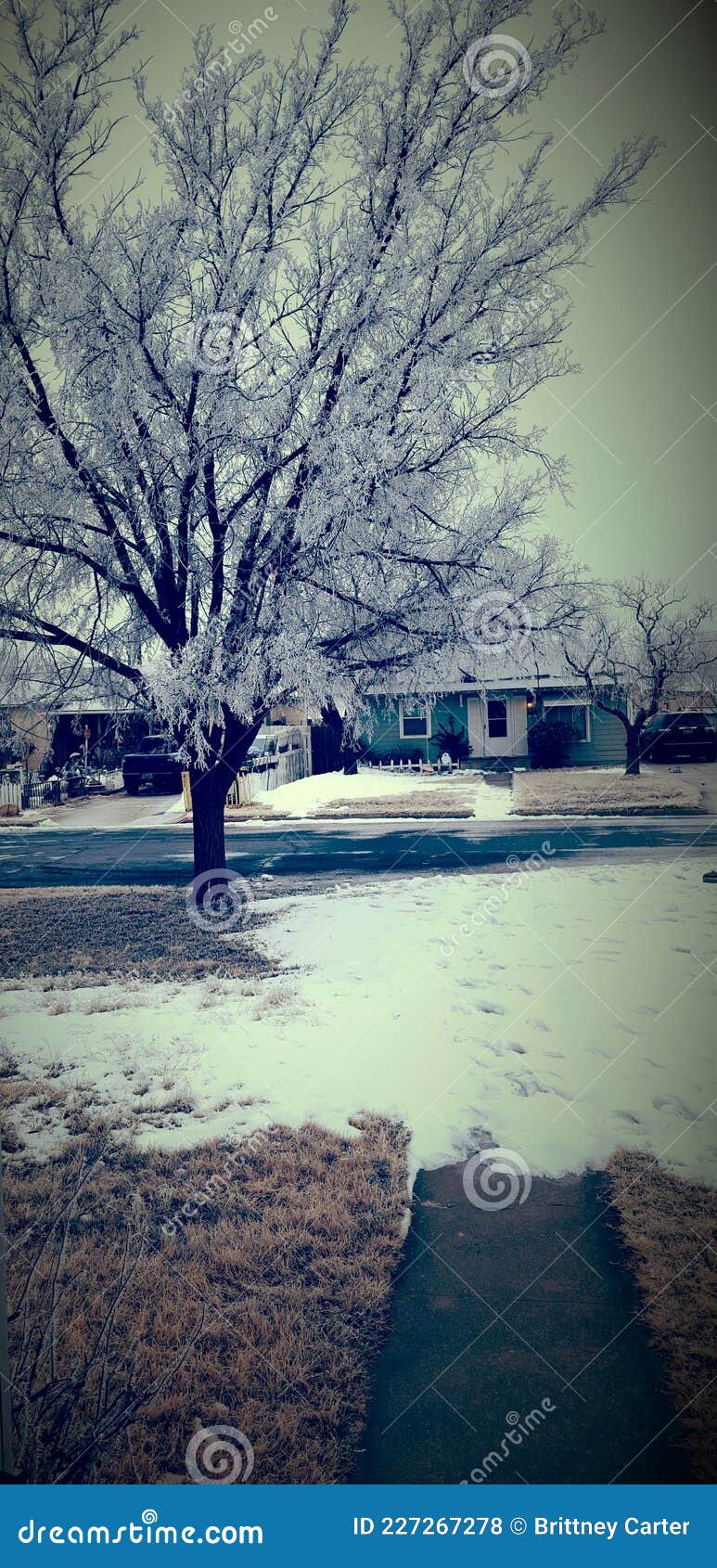 Snow Daze stock photo. Image of snow, snowday, daze - 227267278