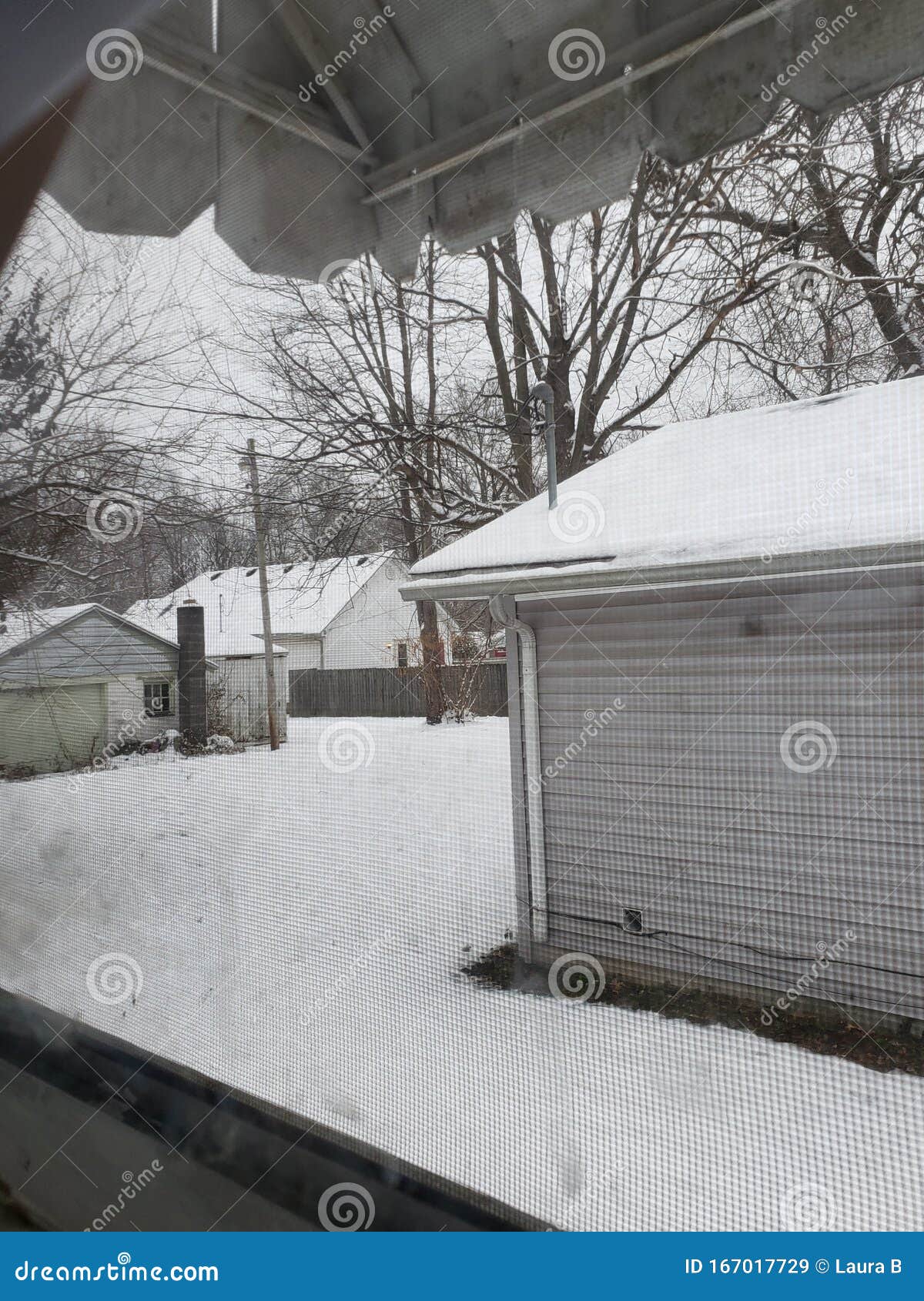 Snow dec 16 2019 stock image. Image of pure, freshly - 167017729