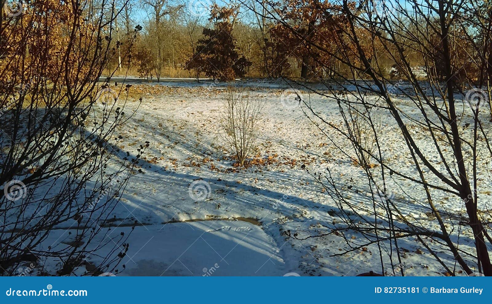 Snow in December stock image. Image of december, cold - 82735181