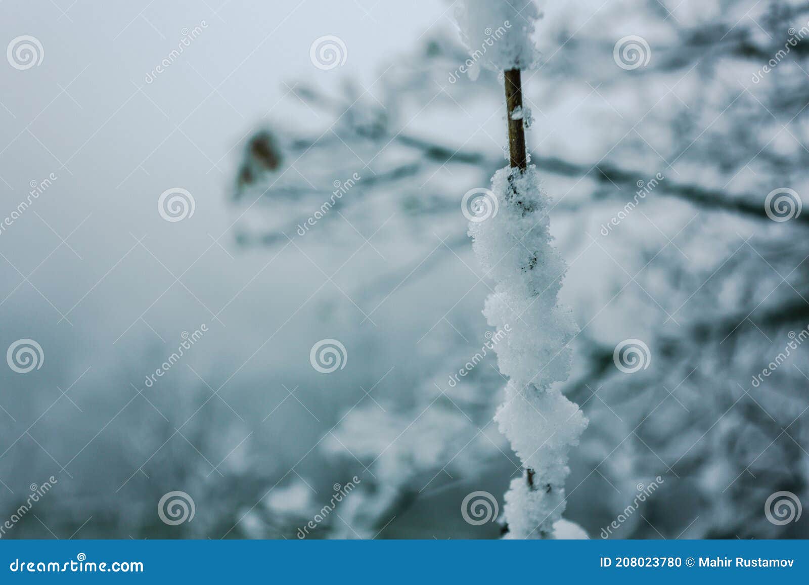 Snow December Winter Cold Mountain Forest Forests Snowflake Stock Photo ...