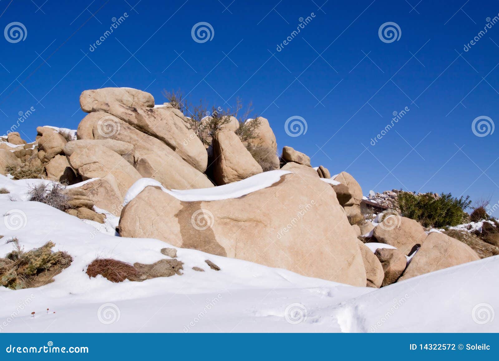 Snow in the desert stock photo. Image of nature, winter - 14322572