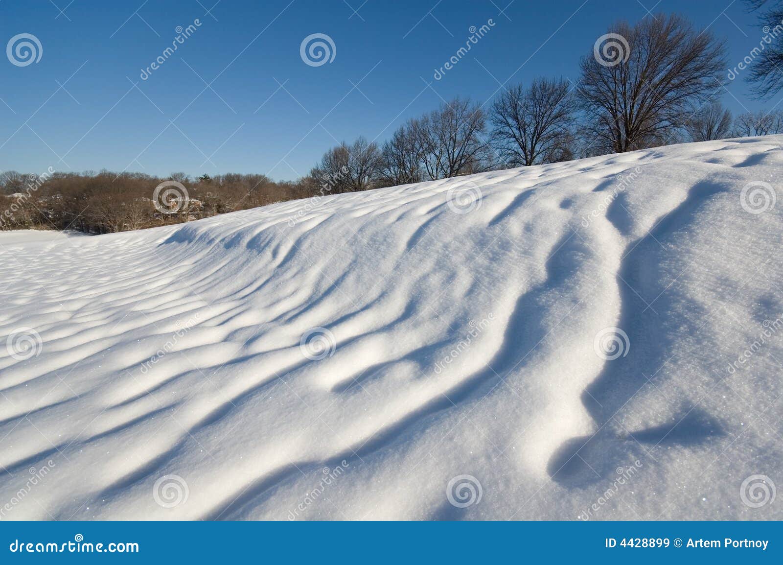 Snow Desert stock image. Image of trees, diagonals, blue - 4428899