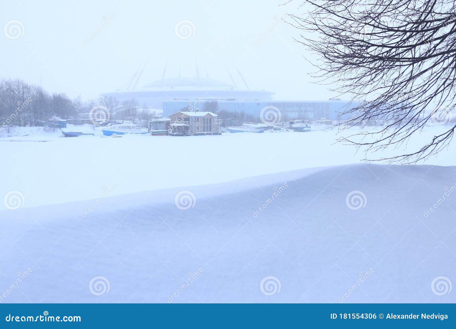 Snow Drift with Tree Branches Stock Photo - Image of sunlight, nature ...