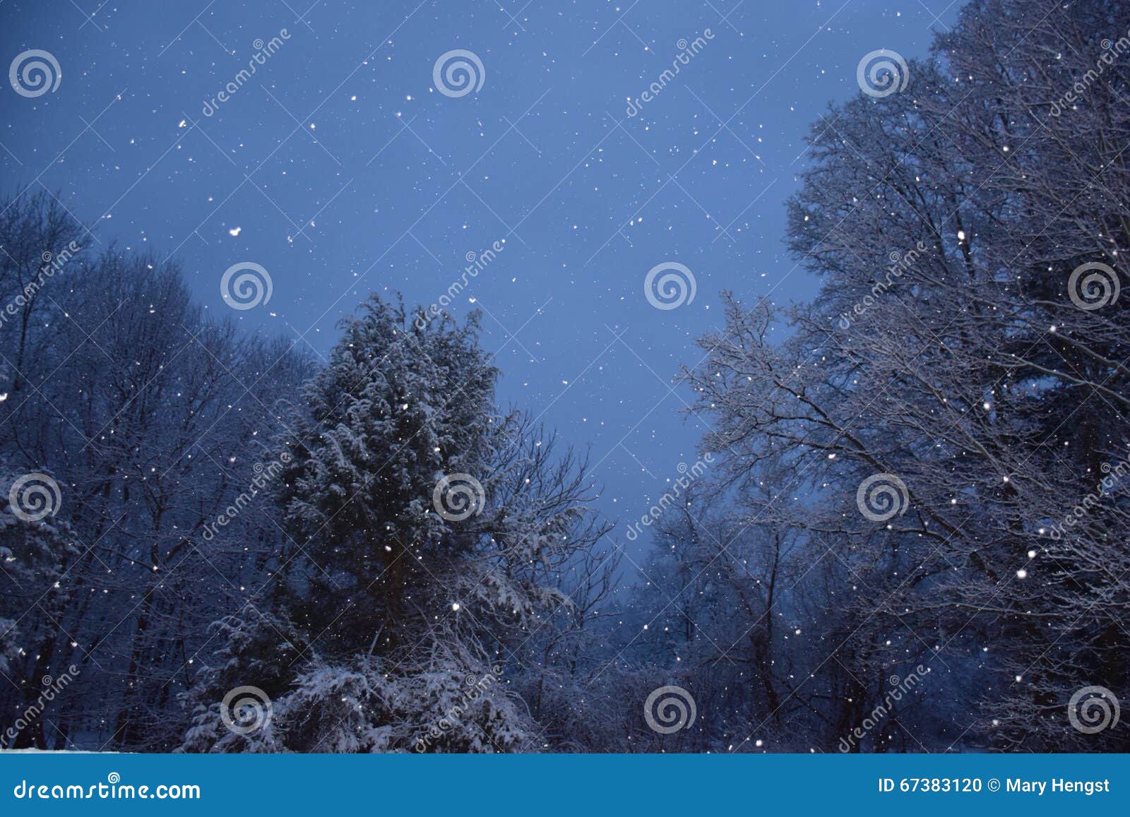 Snow at dusk stock photo. Image of winter, dusk, snow - 67383120