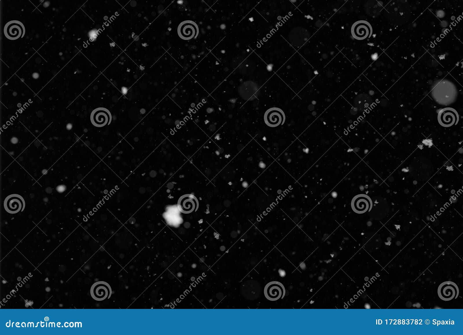 Snow. Dust Bokeh on a Black Background Stock Photo - Image of bokeh ...