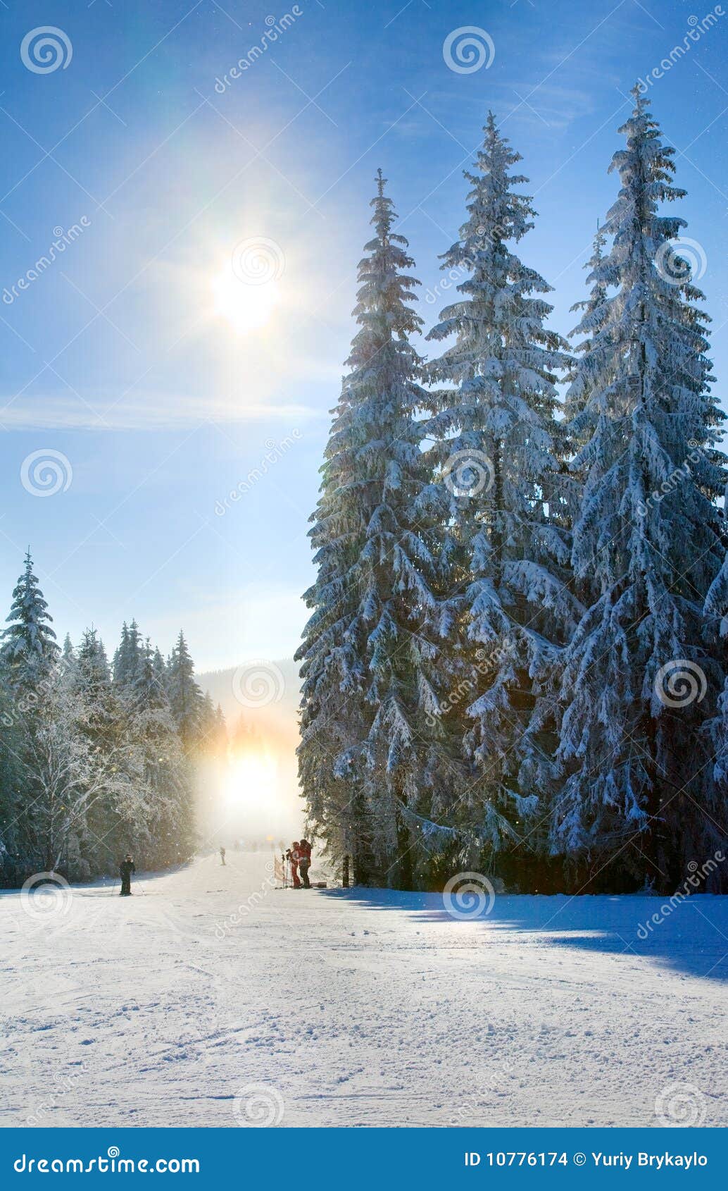 Snow Dust Dazzle Shining on Winter Skiing Slope Stock Photo - Image of ...
