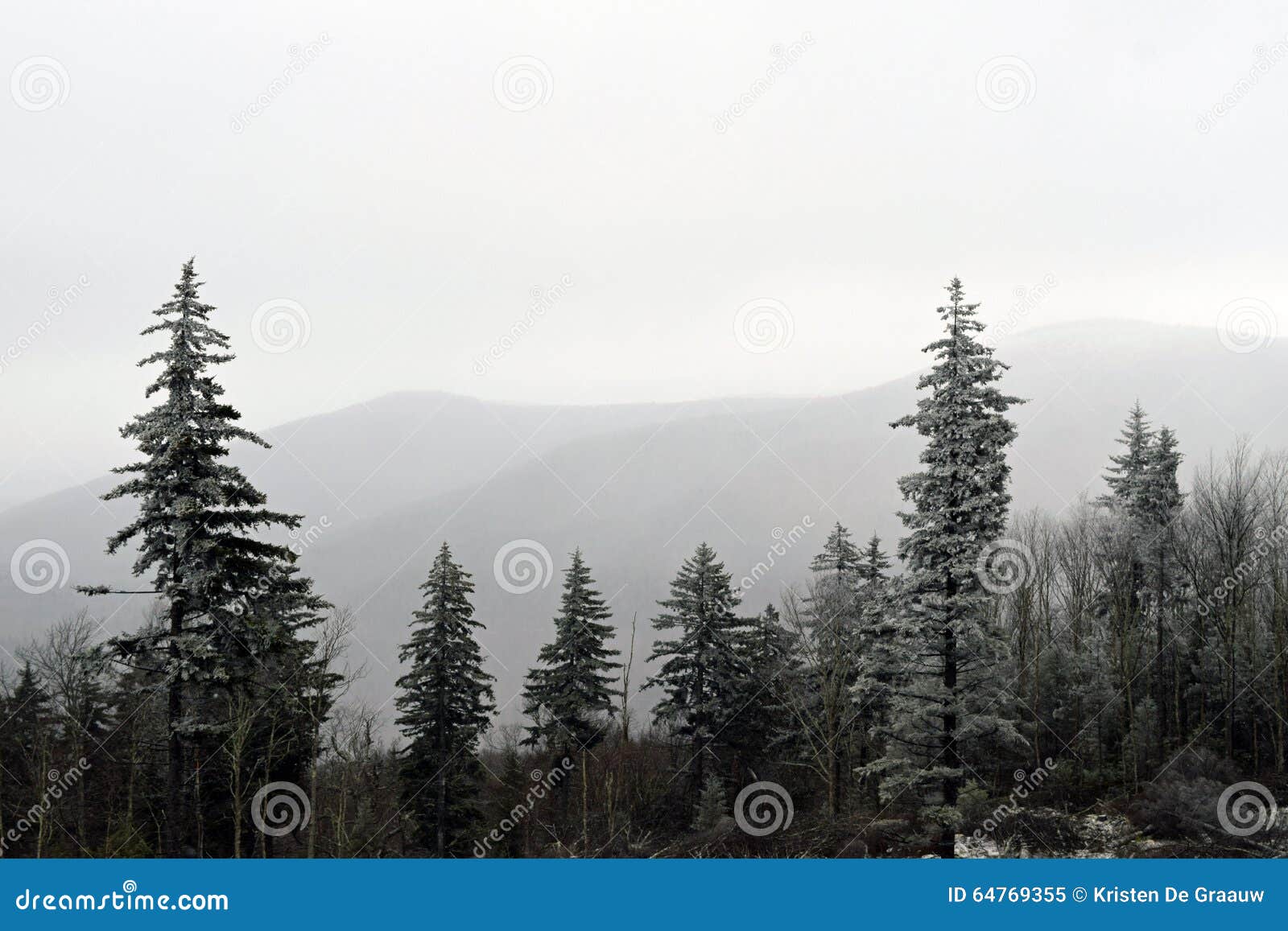 Snow-dusted Mountain Forest Stock Image - Image of dusted, southeastern ...