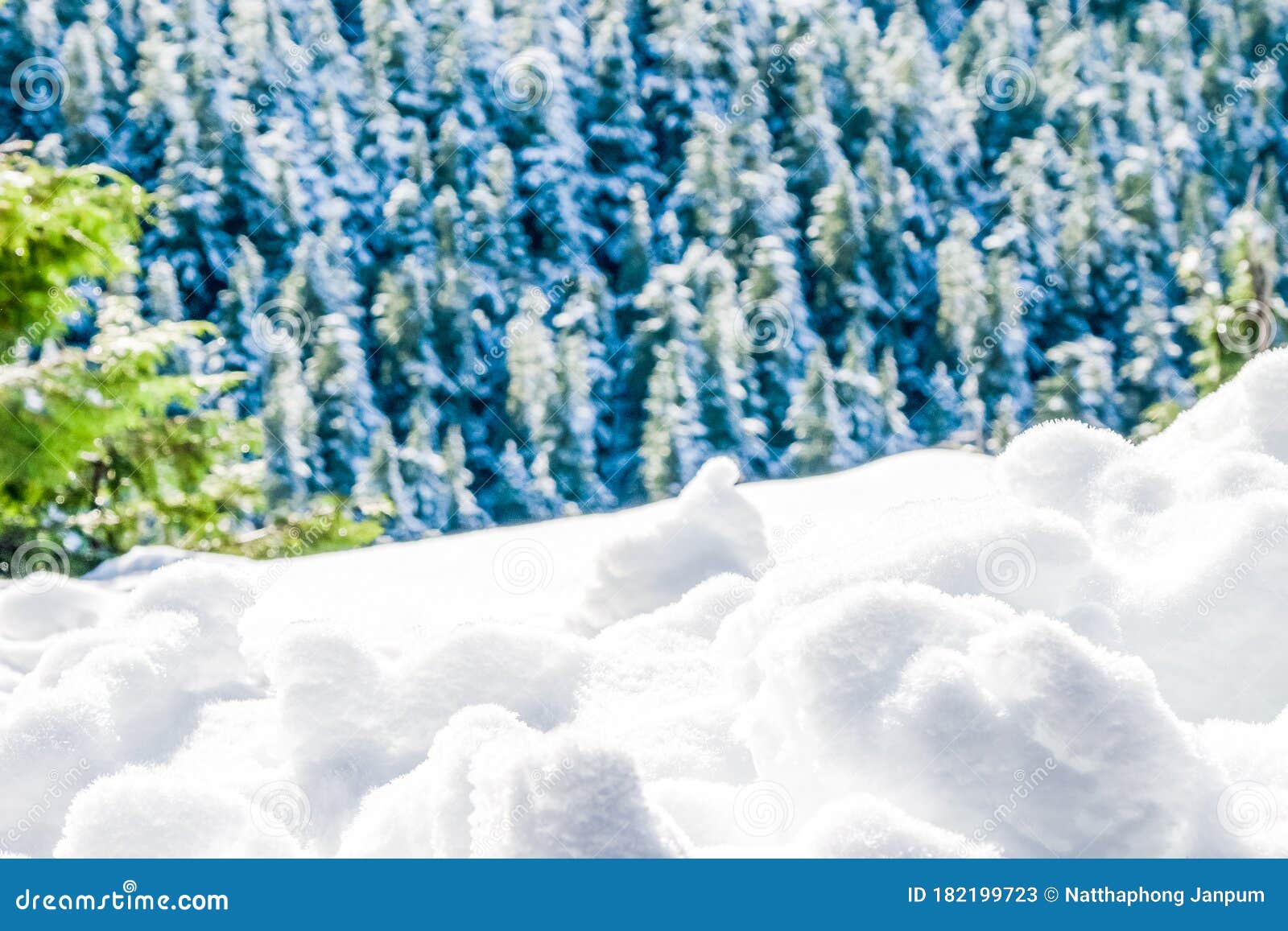 Snow on the Edge with Forest Background Stock Image - Image of frozen ...