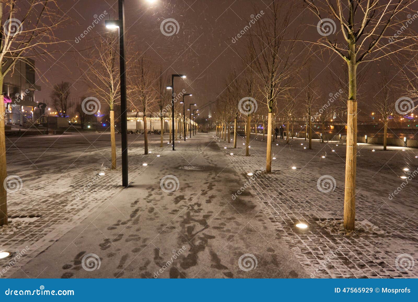 Snow on the embankment stock image. Image of trees, snowflakes - 47565929