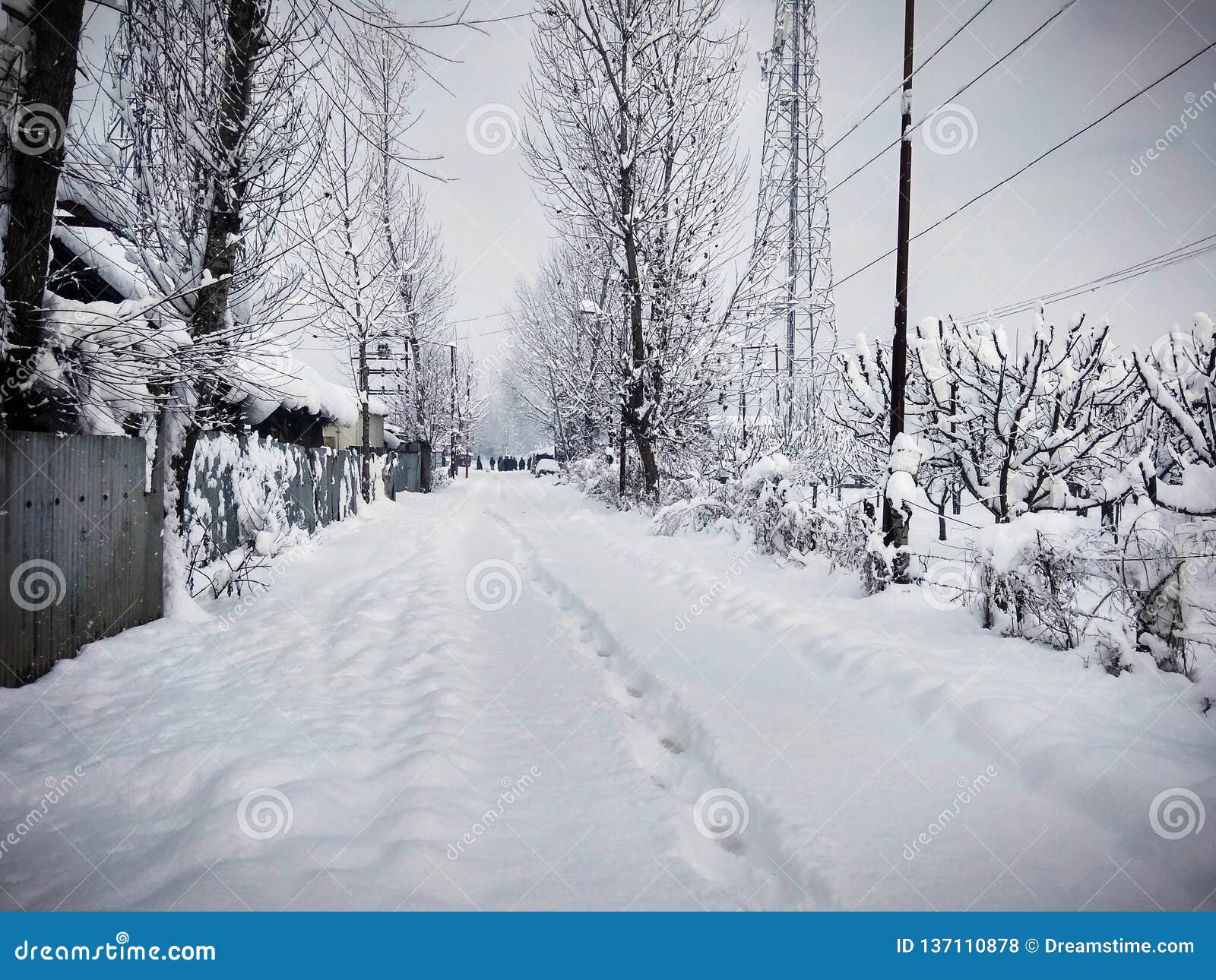 Snow stock photo. Image of empty, snow, covered, road - 137110878